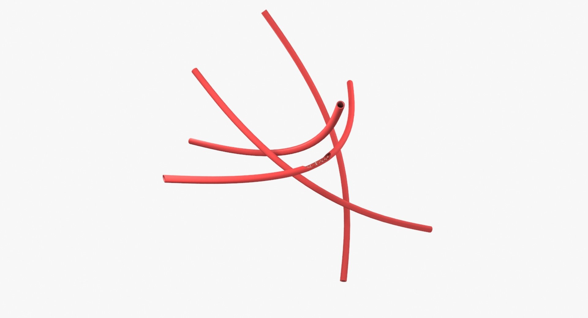 Bloodstream Static 3D Model - TurboSquid 1328016