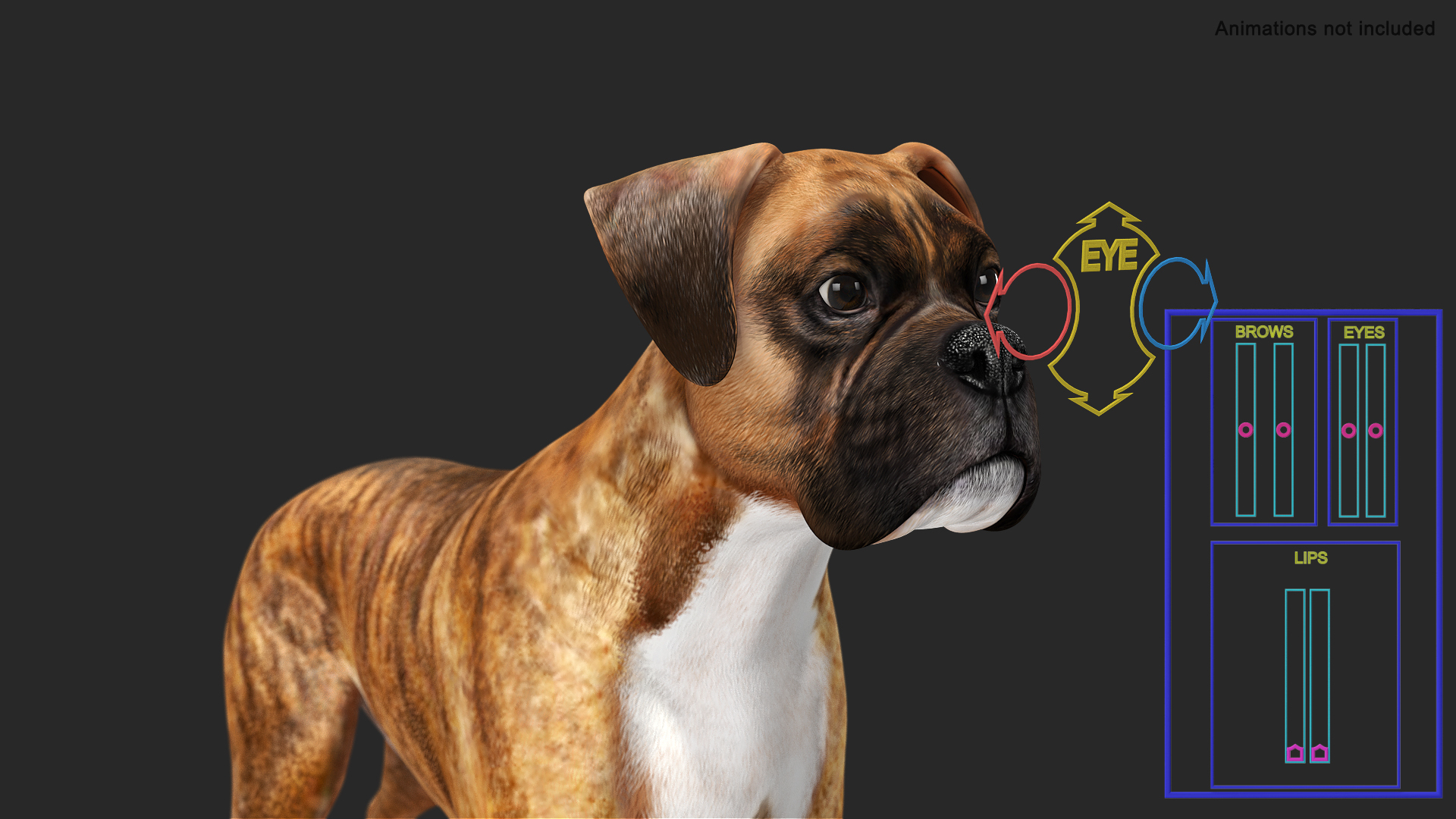 3D Model Boxer Dog Tiger Colored Rigged - TurboSquid 2250738