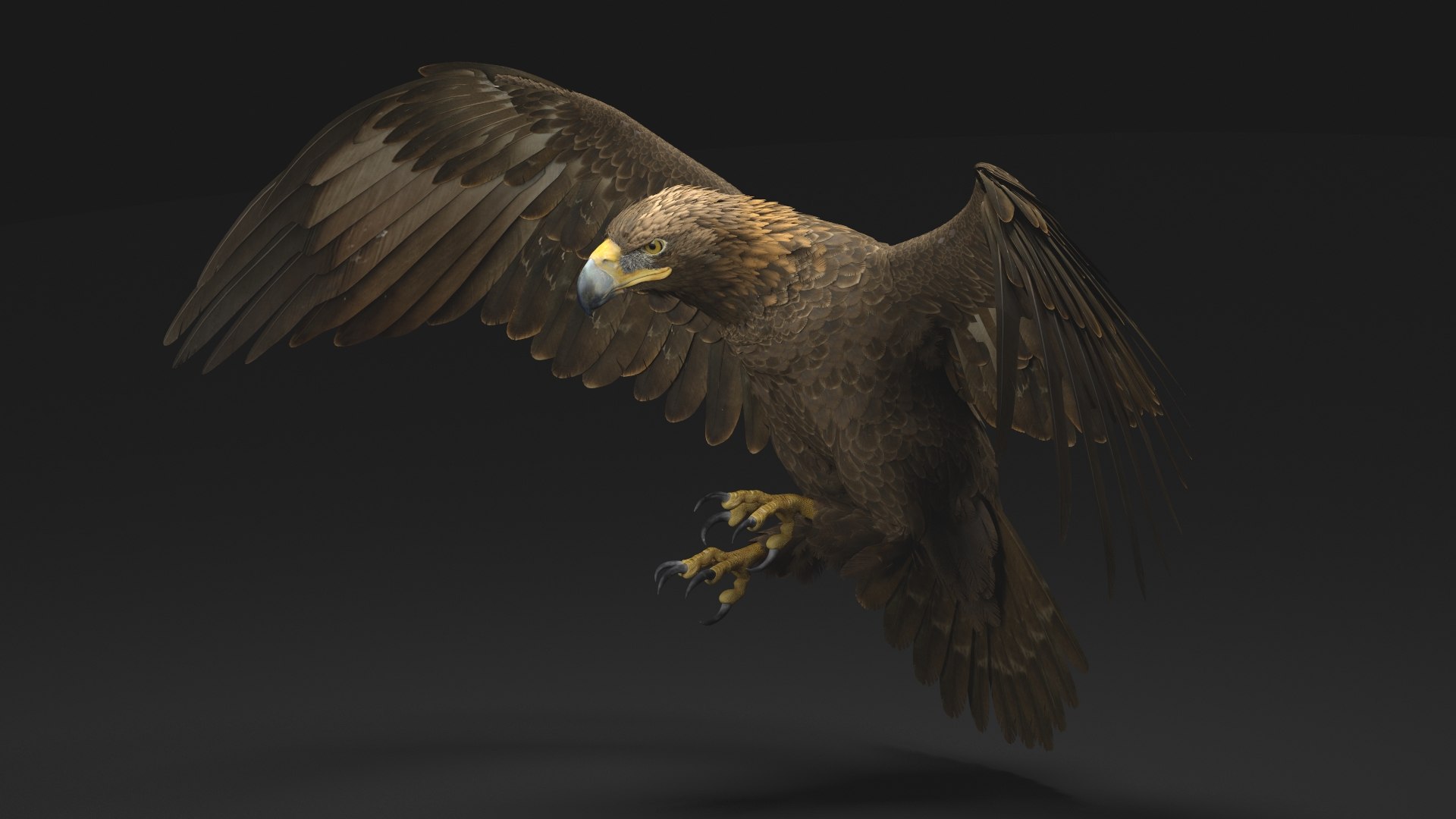 Golden eagle animations 3D model - TurboSquid 1442542