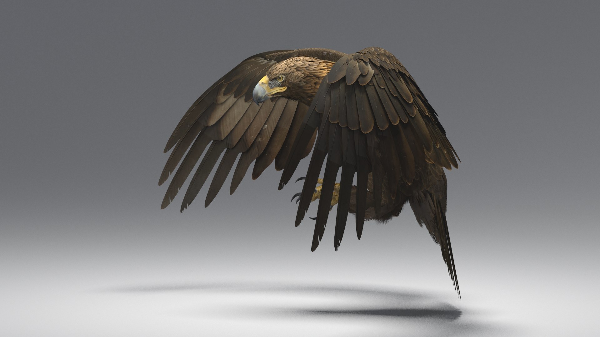 Golden eagle animations 3D model - TurboSquid 1442542