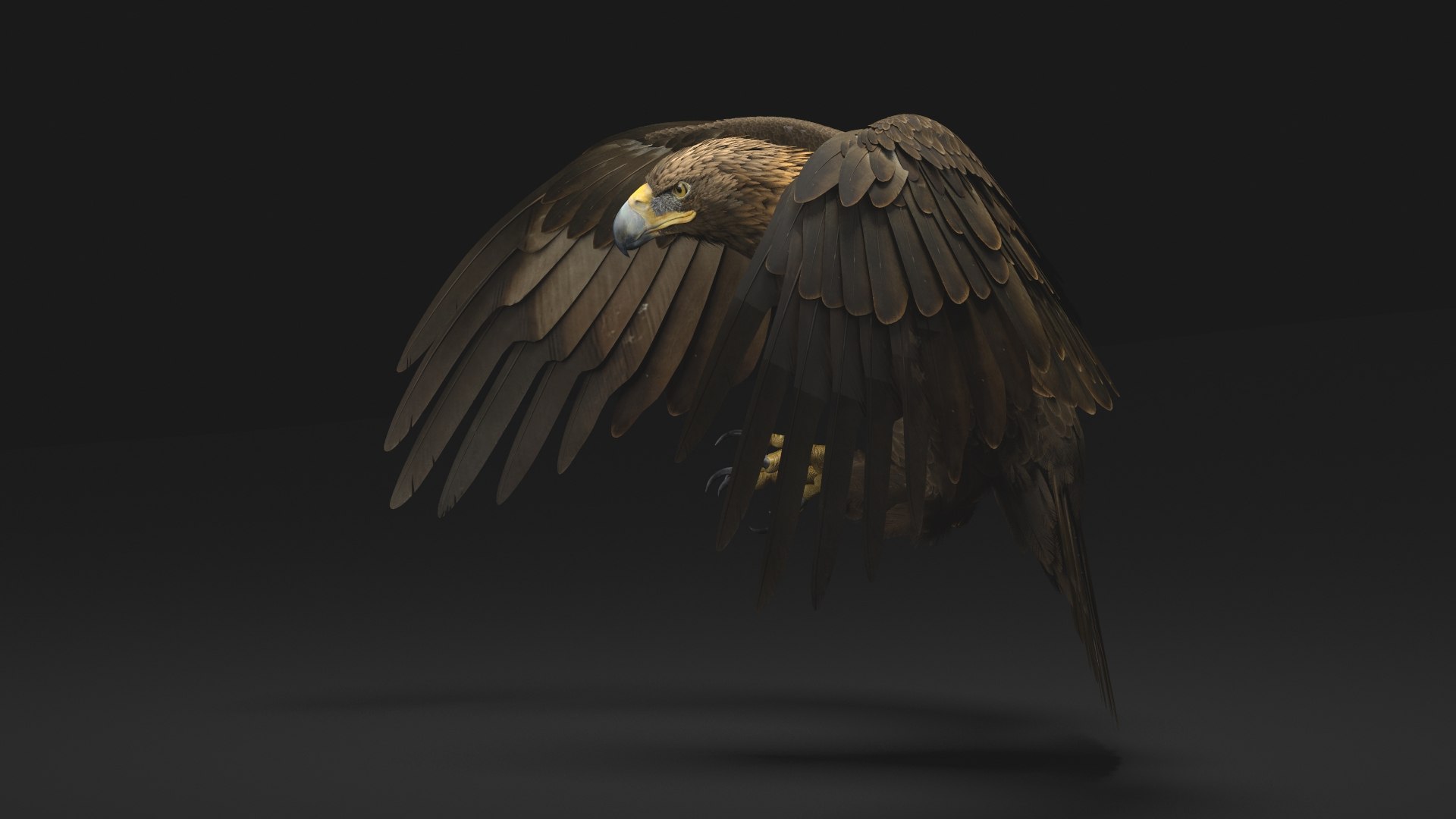 Golden eagle animations 3D model - TurboSquid 1442542