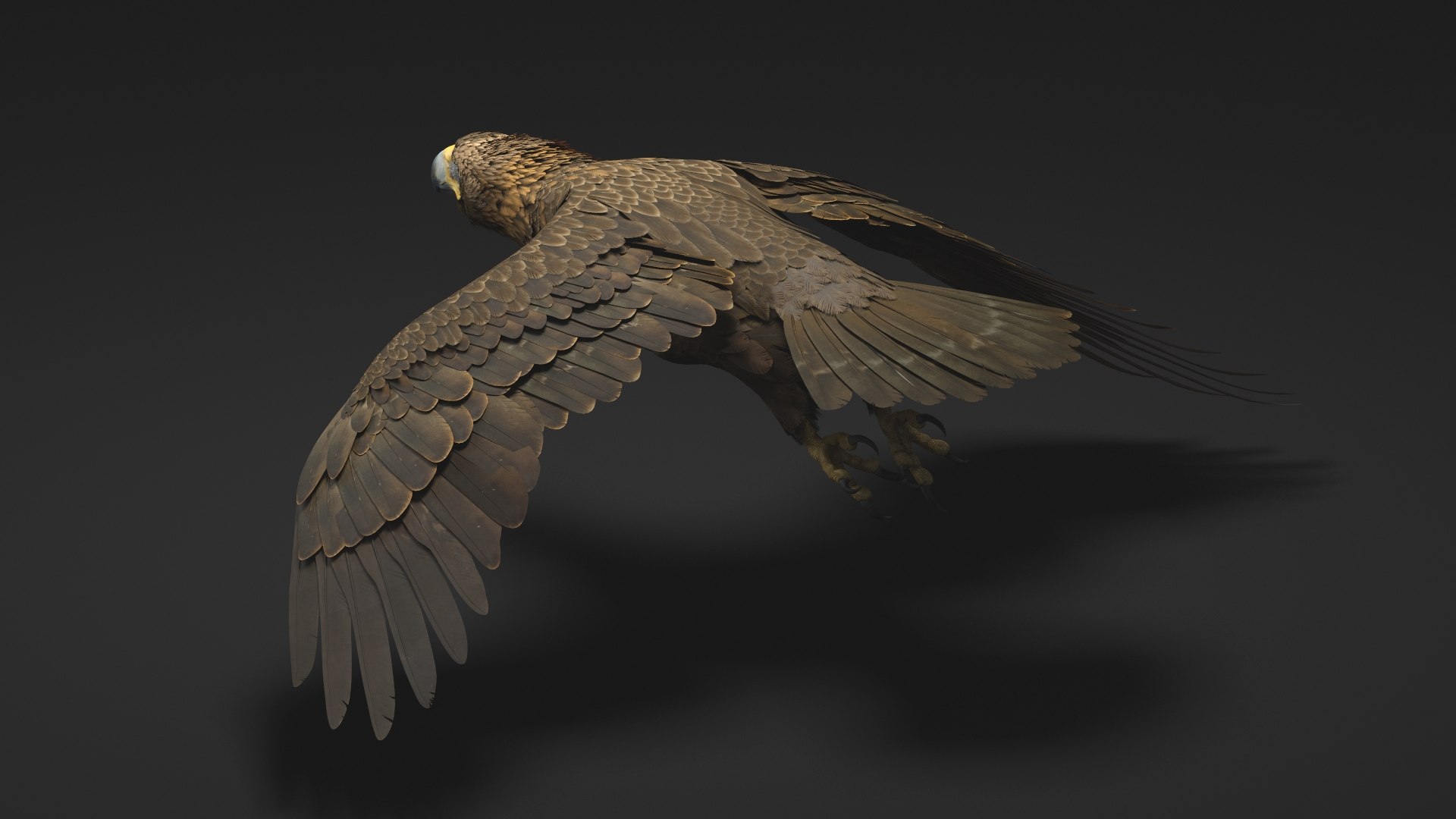 Golden eagle animations 3D model - TurboSquid 1442542