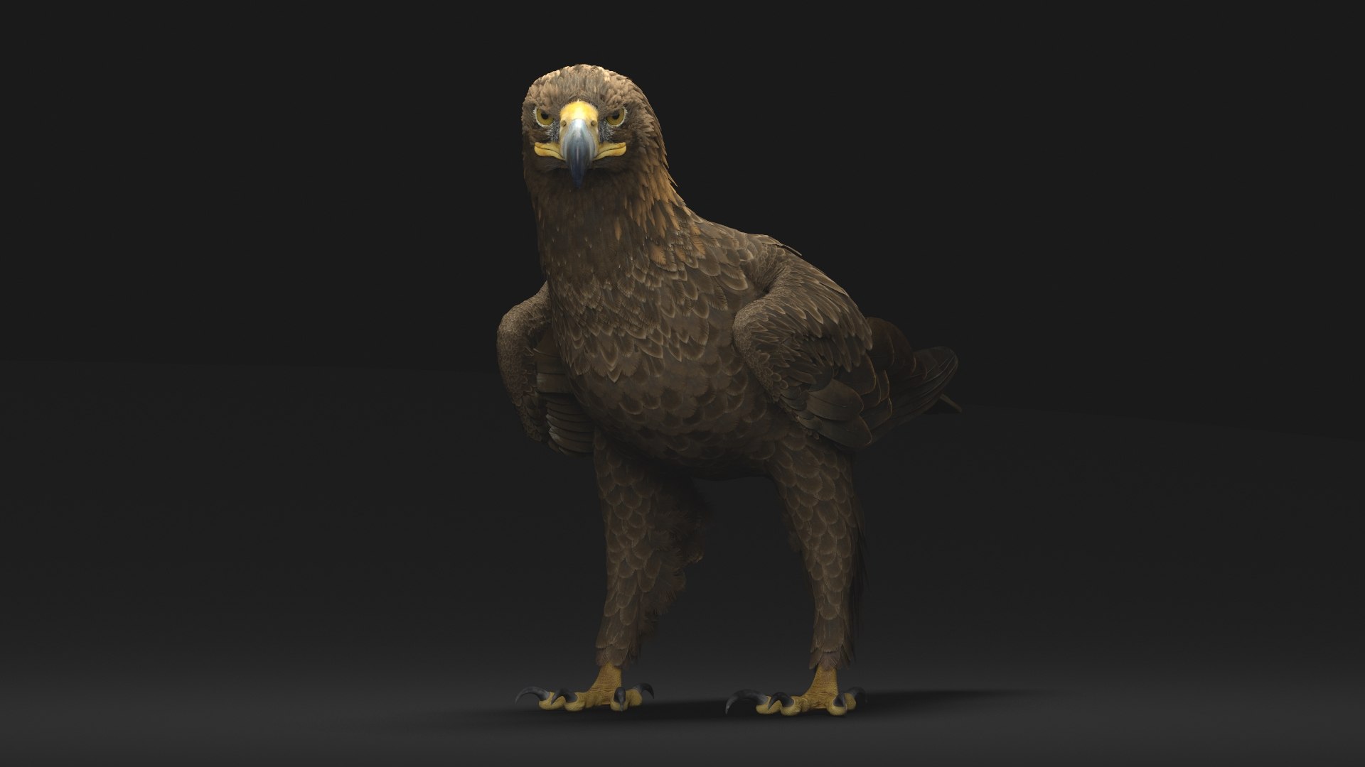 Golden eagle animations 3D model - TurboSquid 1442542