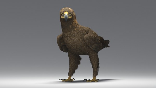 Golden eagle animations 3D model - TurboSquid 1442542