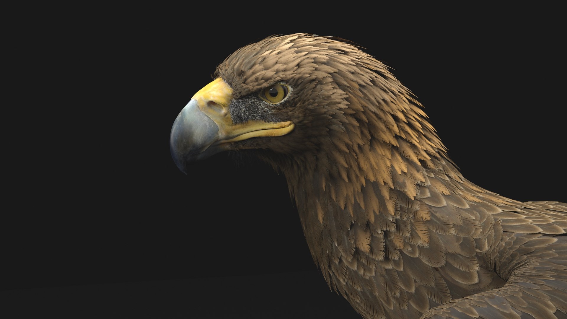 Golden eagle animations 3D model - TurboSquid 1442542