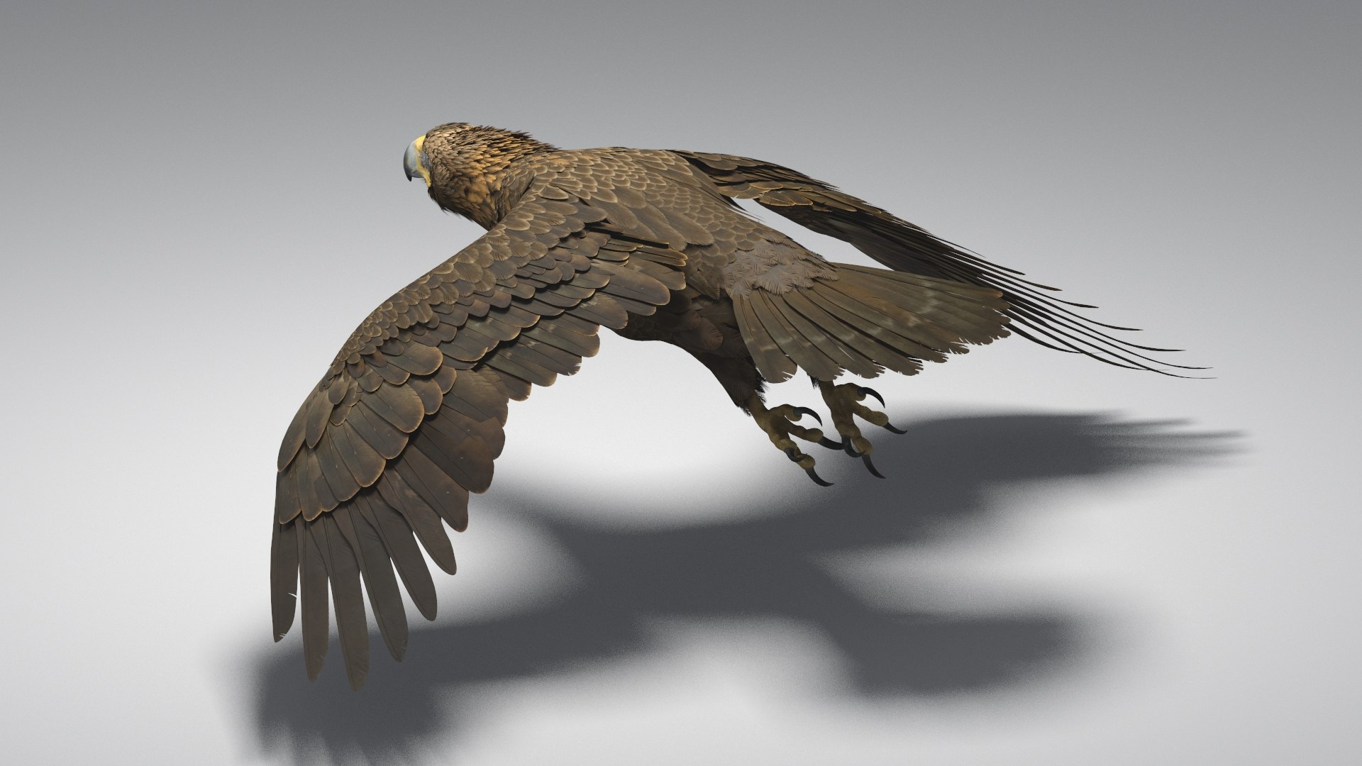 Golden eagle animations 3D model - TurboSquid 1442542