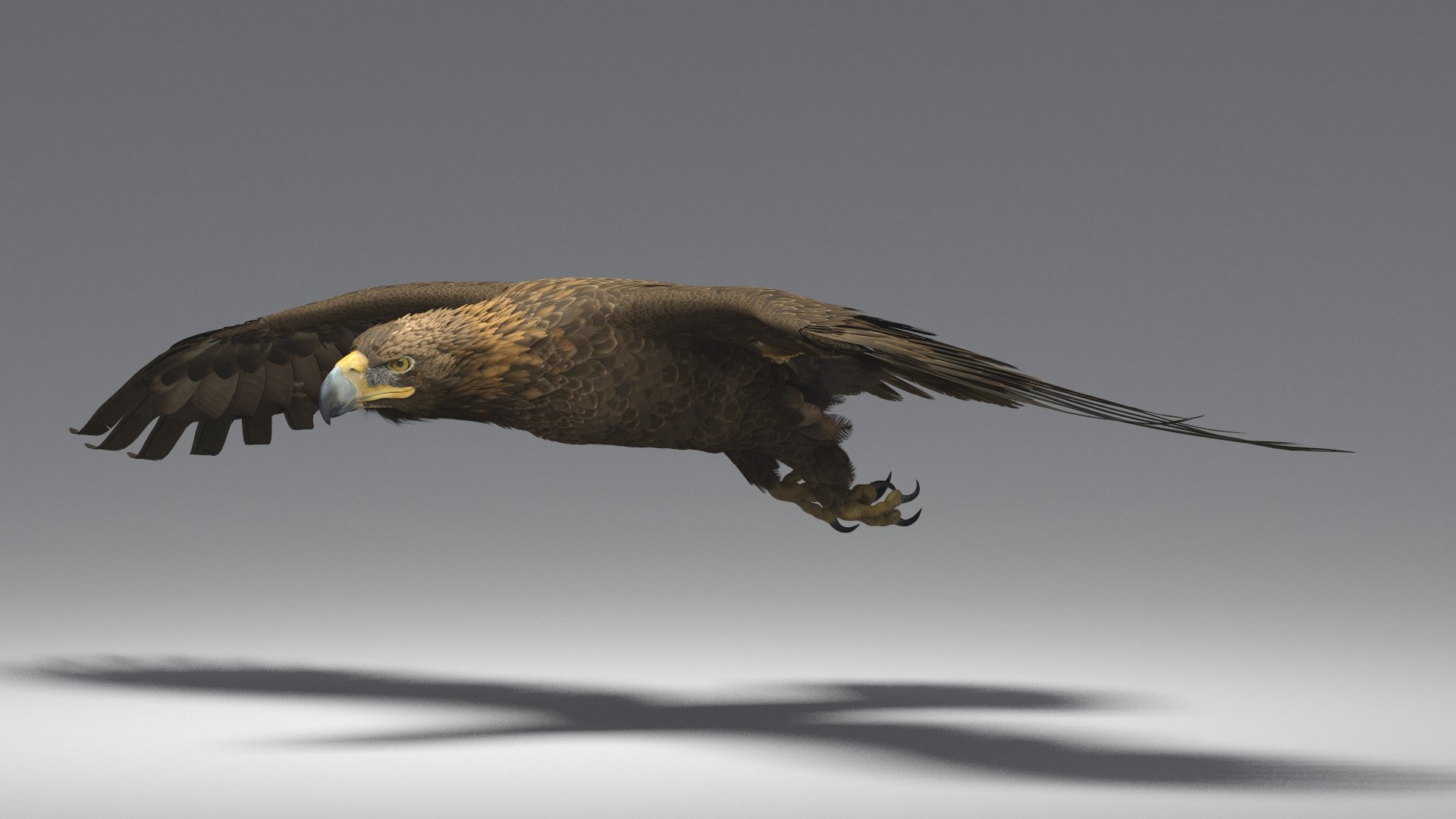 Golden eagle animations 3D model - TurboSquid 1442542
