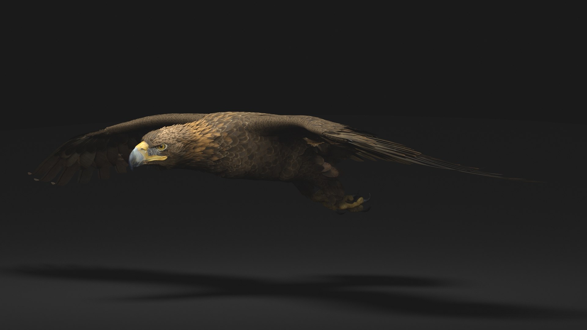 Golden eagle animations 3D model - TurboSquid 1442542
