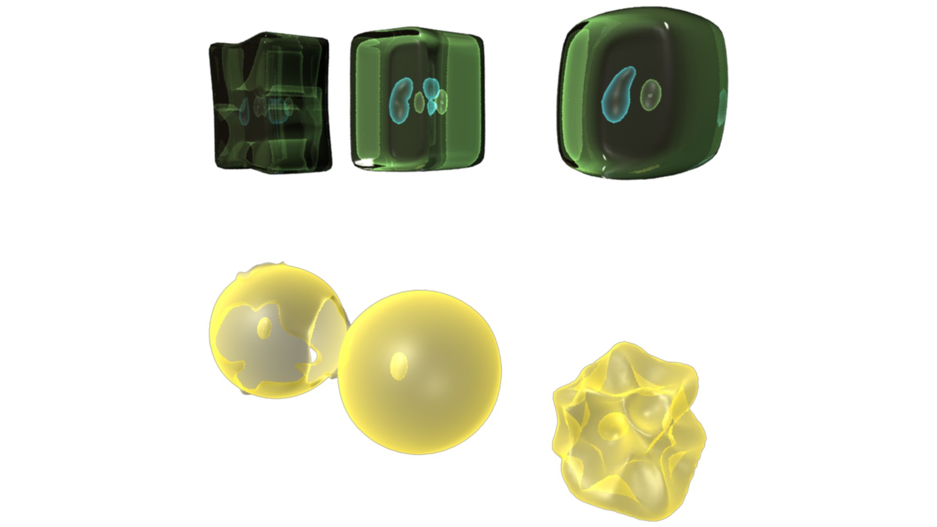 Plasmolysis Hypertonic Cytolysis 3d Obj
