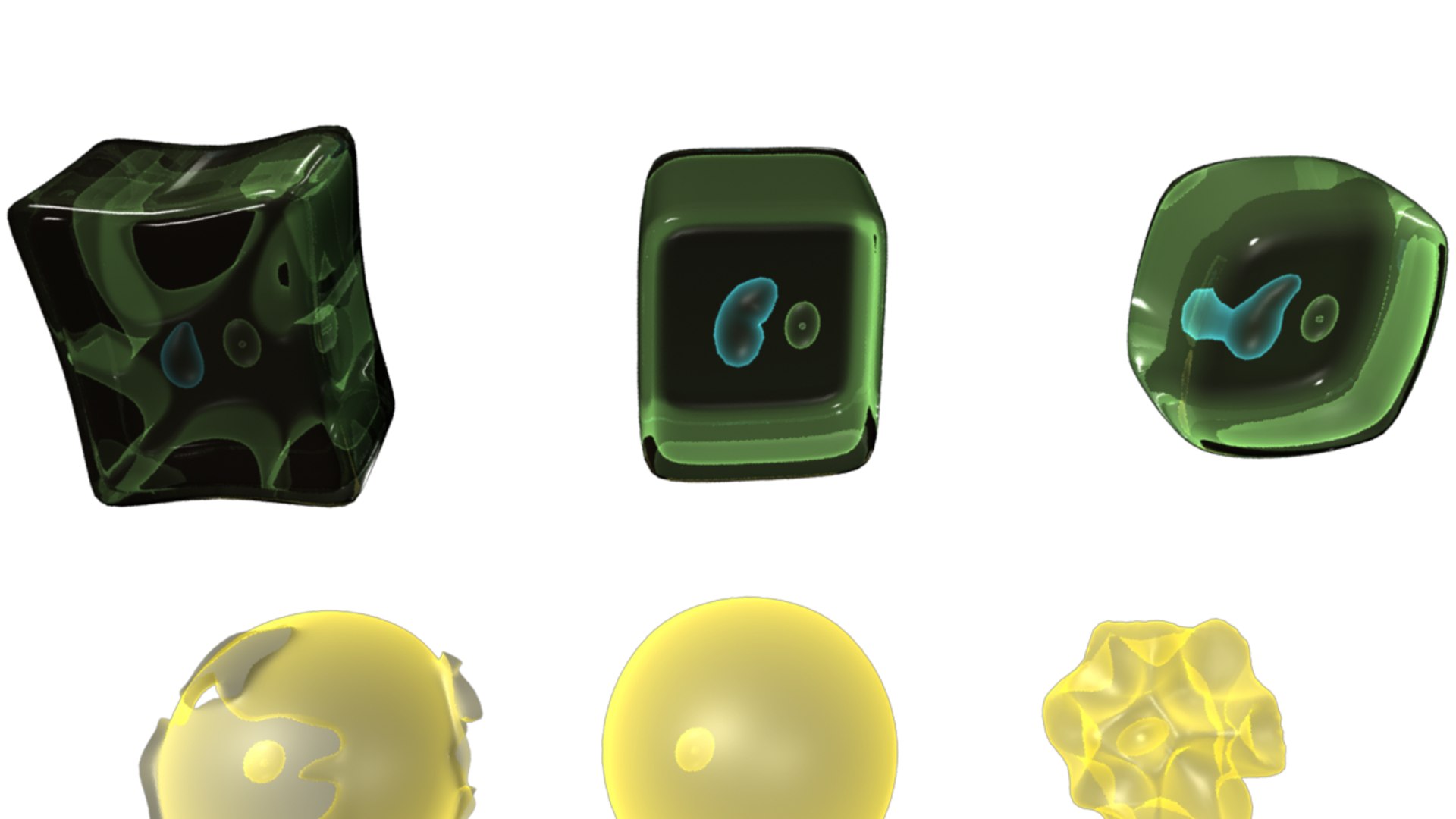 Plasmolysis Hypertonic Cytolysis 3d Obj