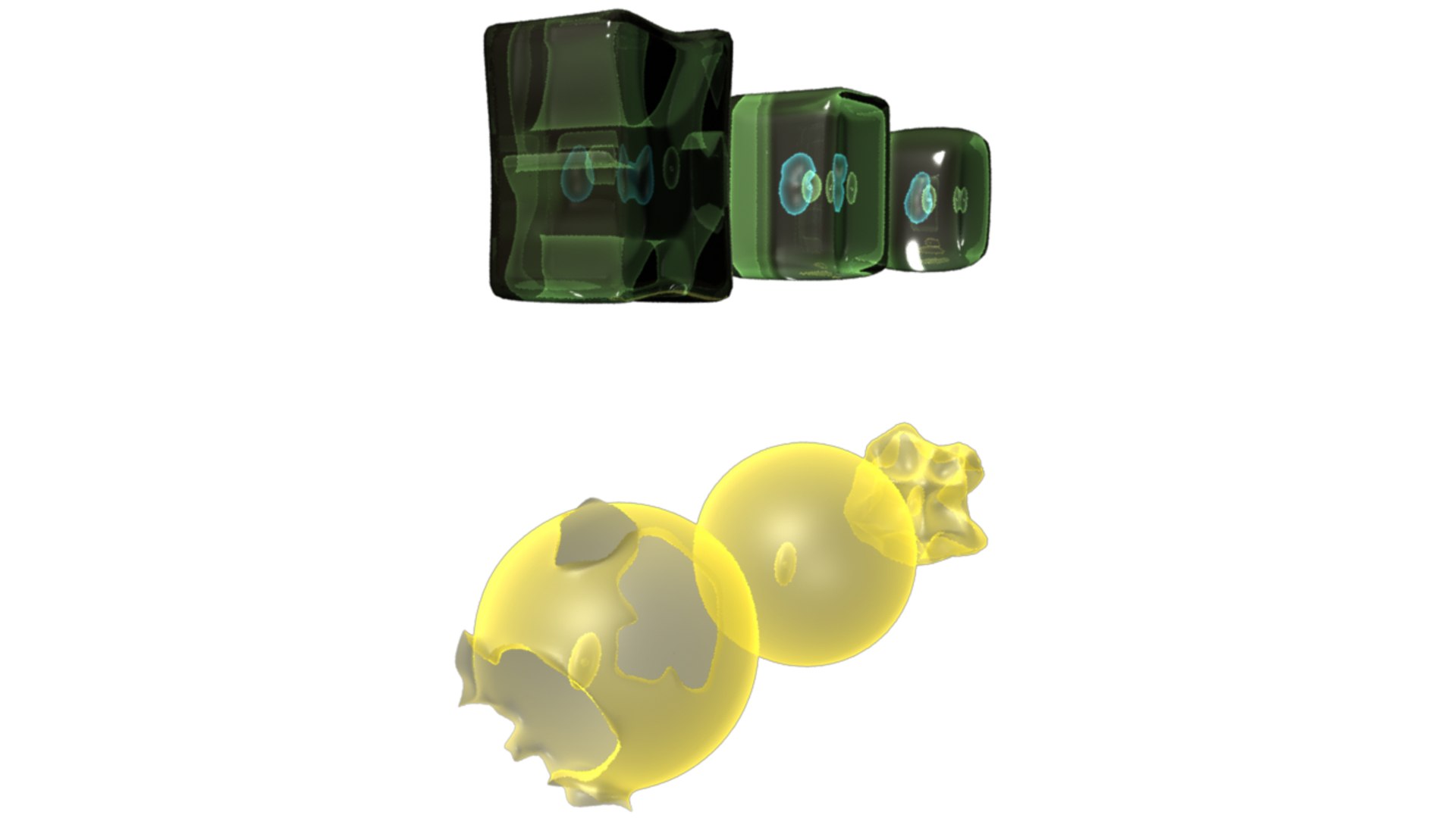 Plasmolysis Hypertonic Cytolysis 3d Obj