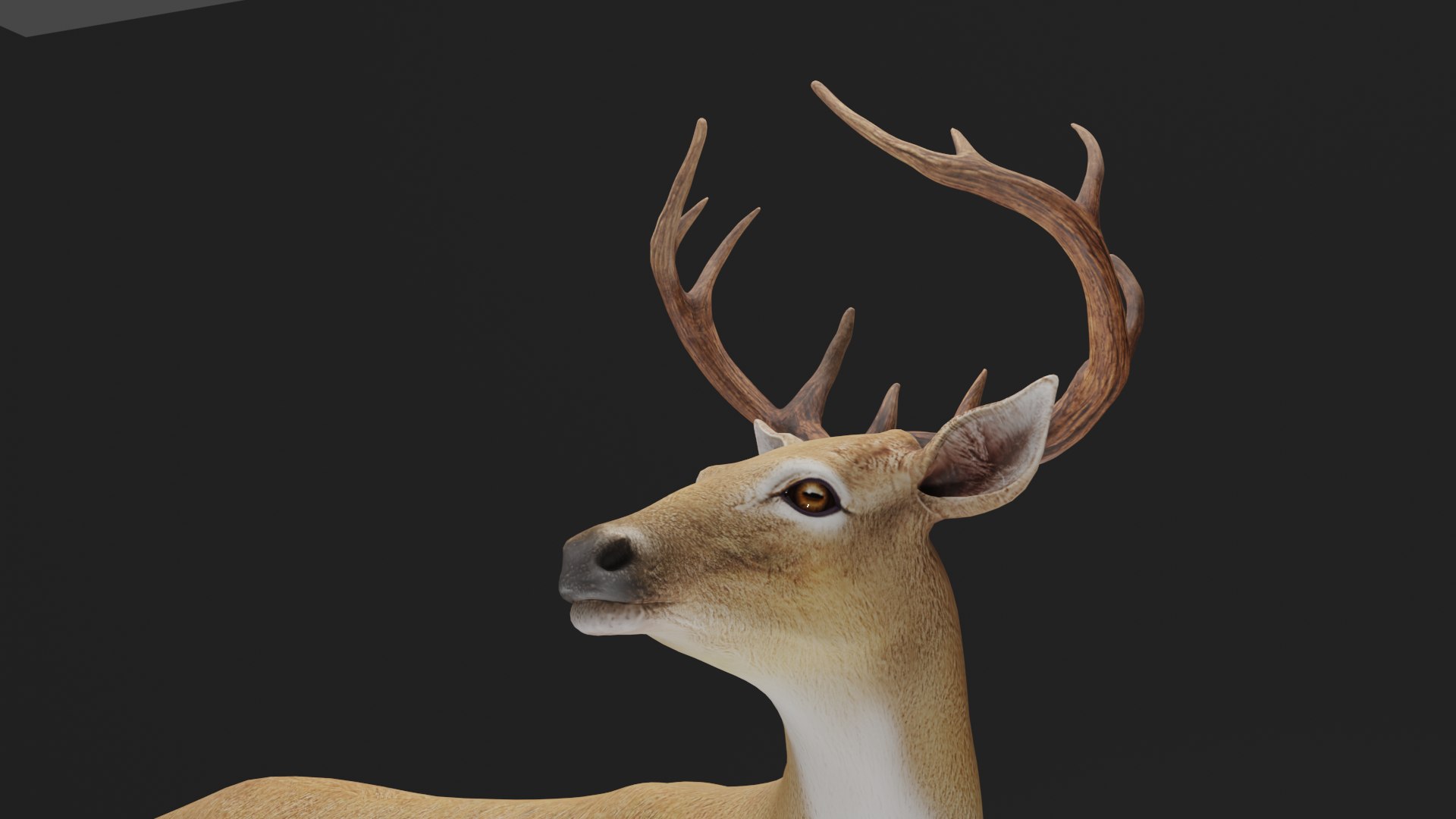 Realistic Deer 3D model 3D model - TurboSquid 2182154