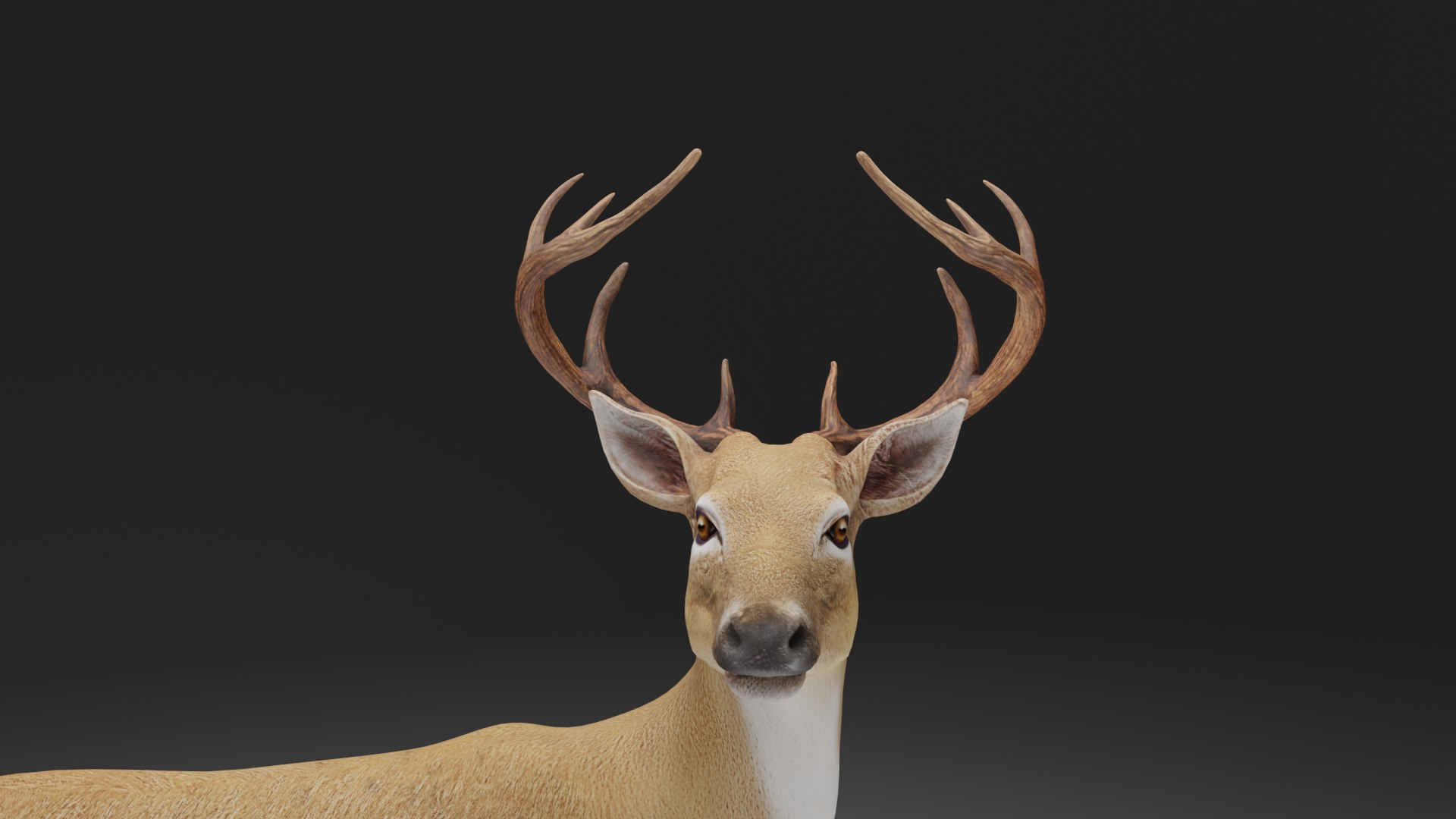 Realistic Deer 3D model 3D model - TurboSquid 2182154
