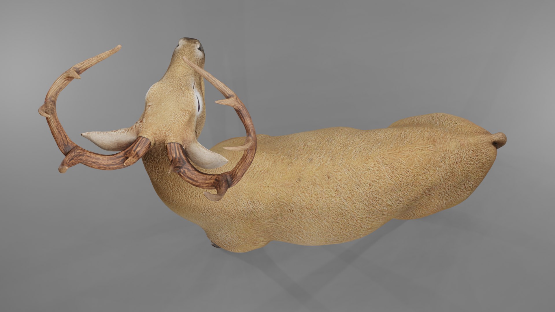 Realistic Deer 3D model 3D model - TurboSquid 2182154