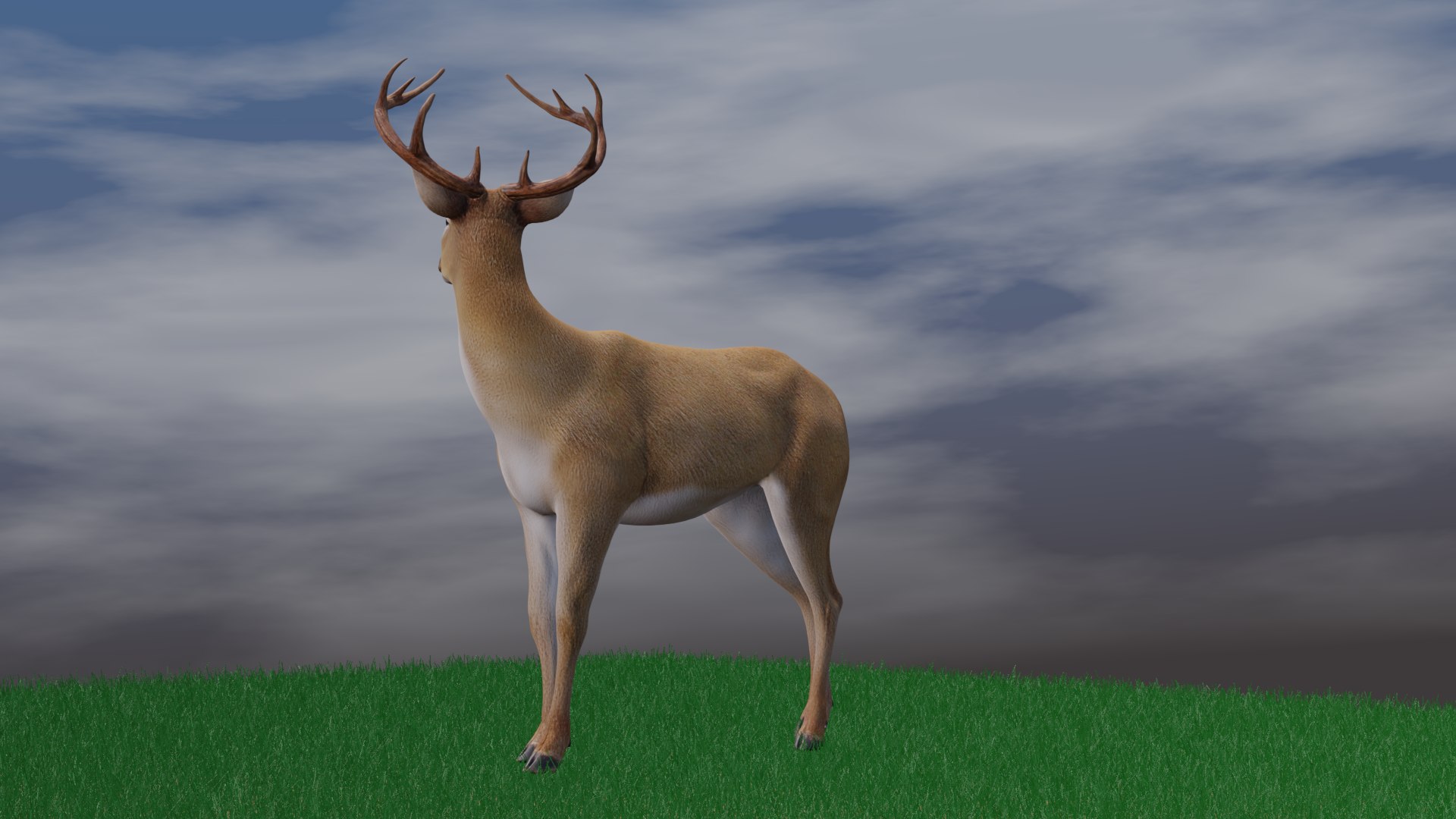 Realistic Deer 3D model 3D model - TurboSquid 2182154