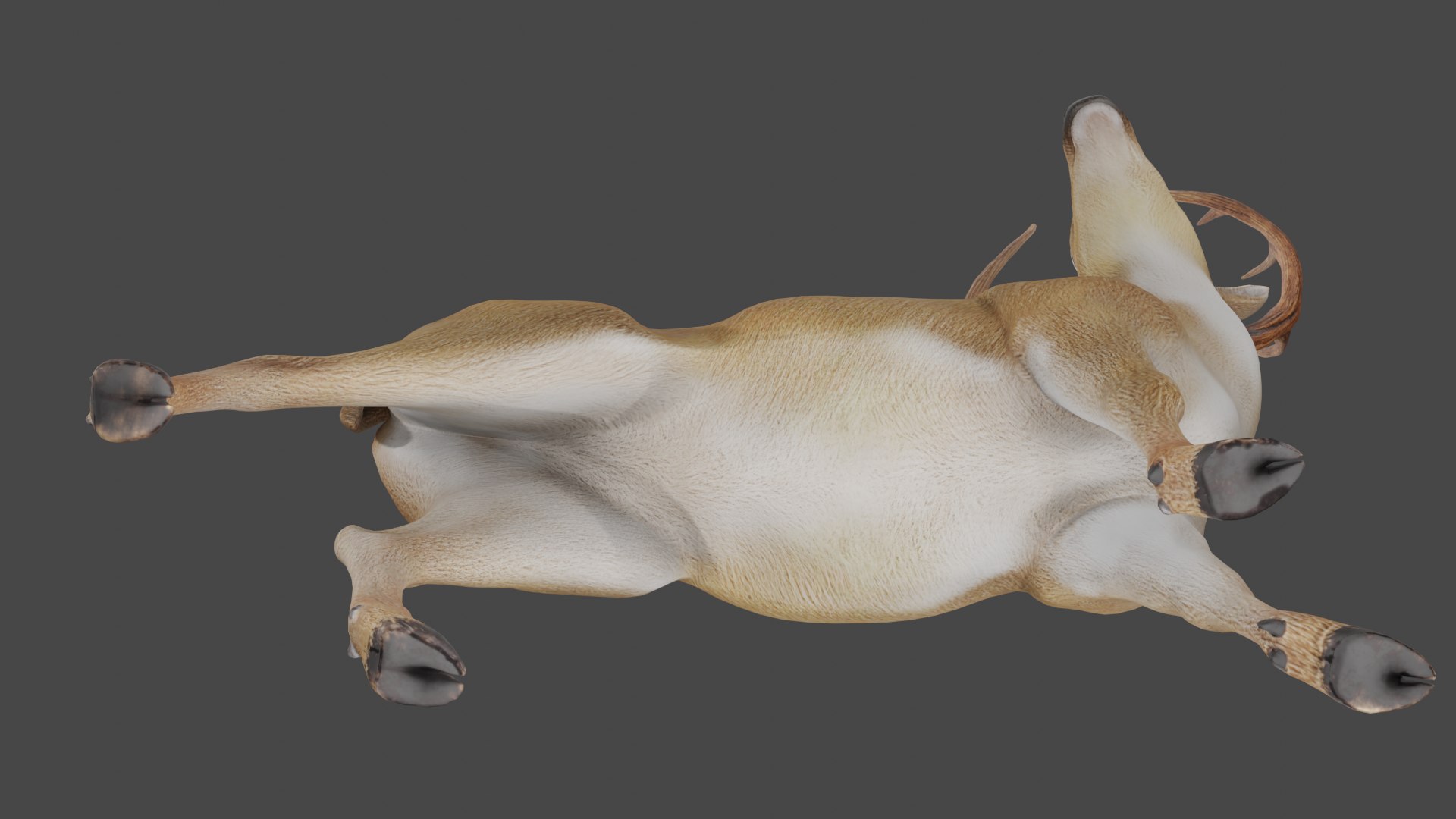 Realistic Deer 3D model 3D model - TurboSquid 2182154