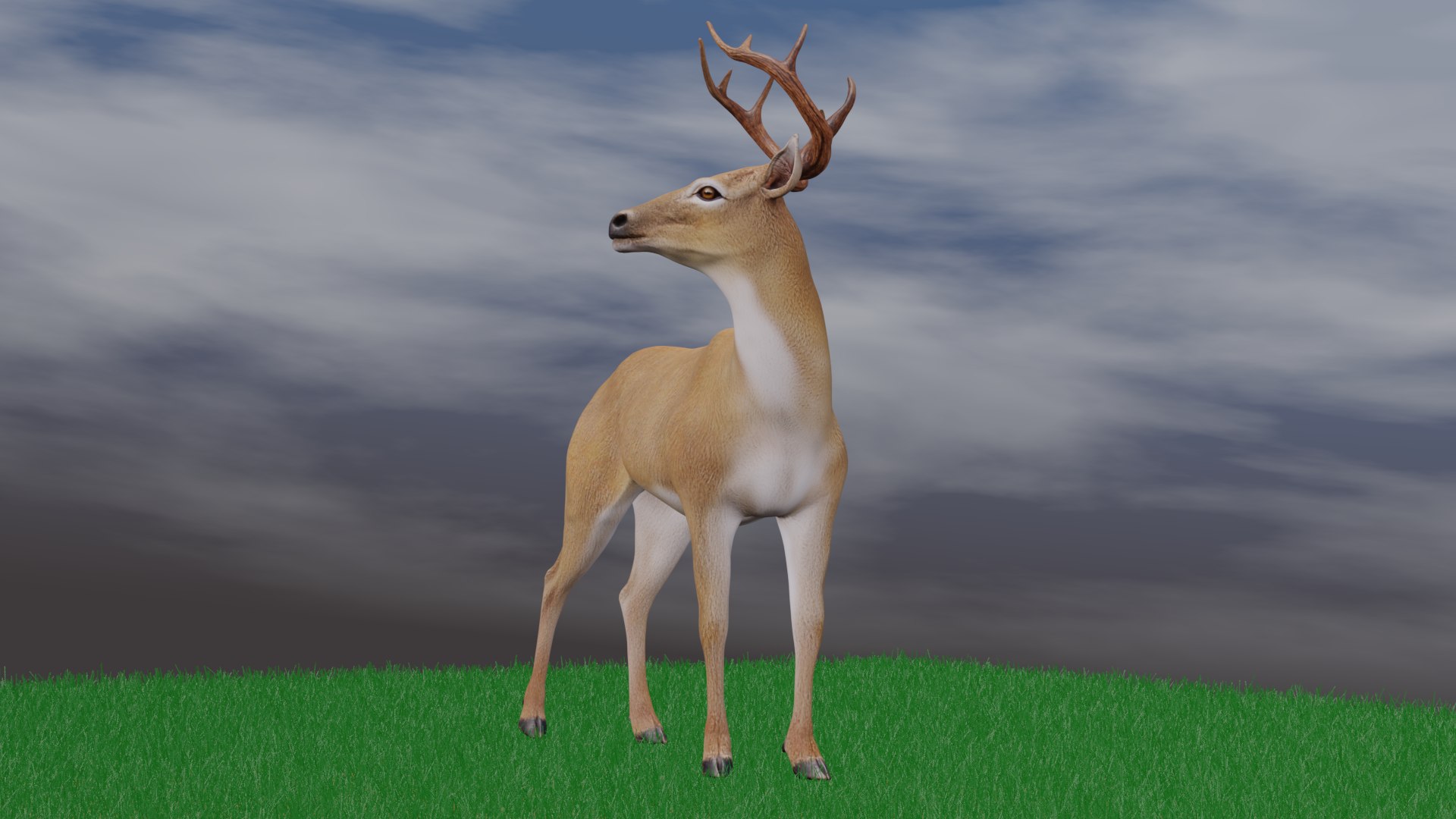 Realistic Deer 3D model 3D model - TurboSquid 2182154
