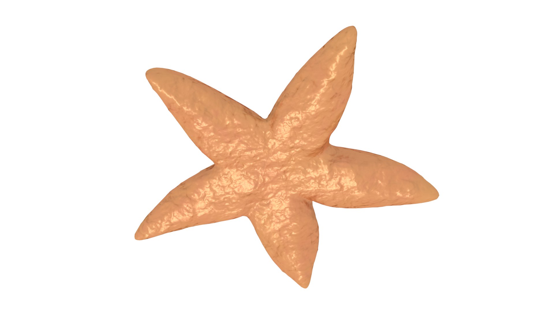3D star starfish fish - TurboSquid 1443020