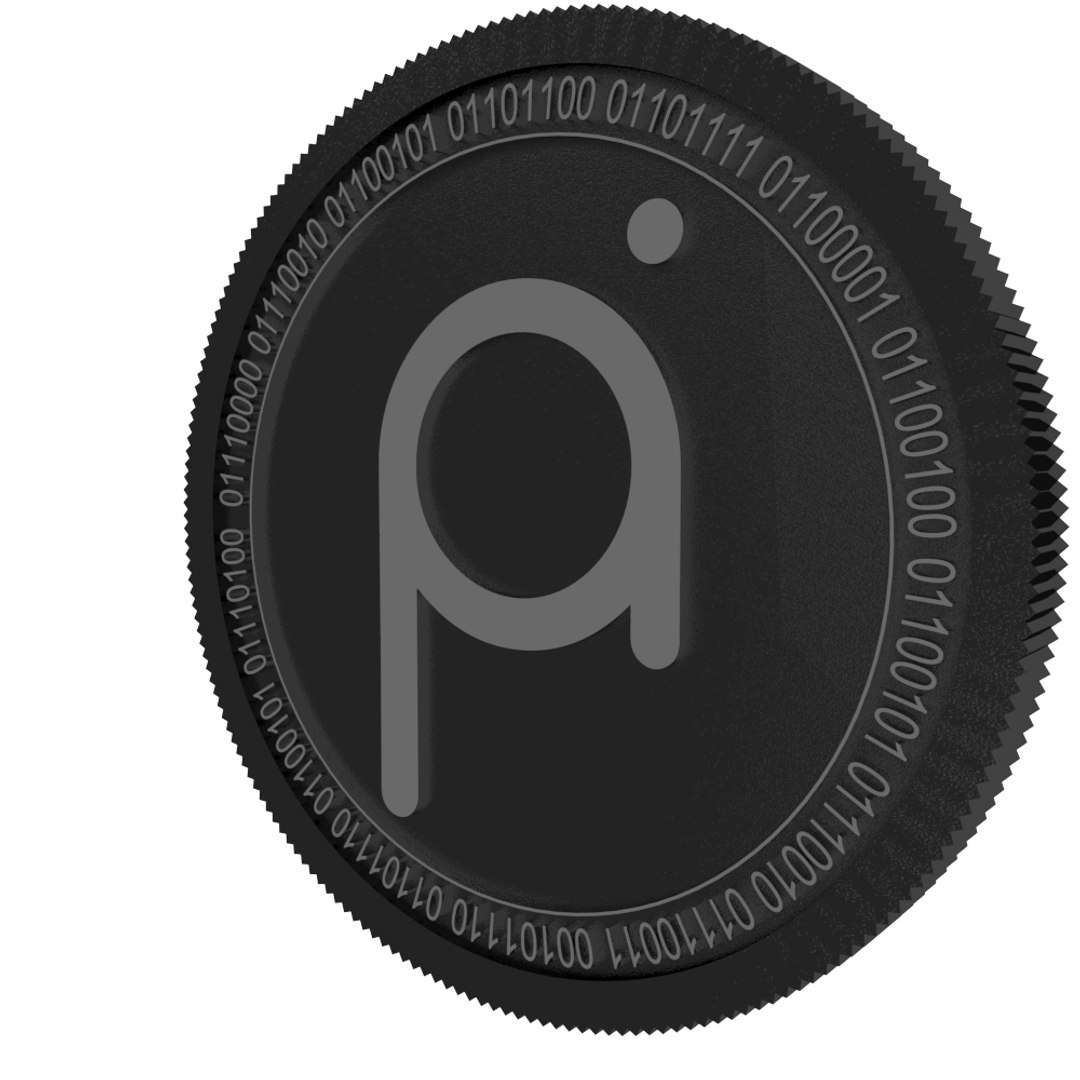 Project pai black coin 3D model - TurboSquid 1434563