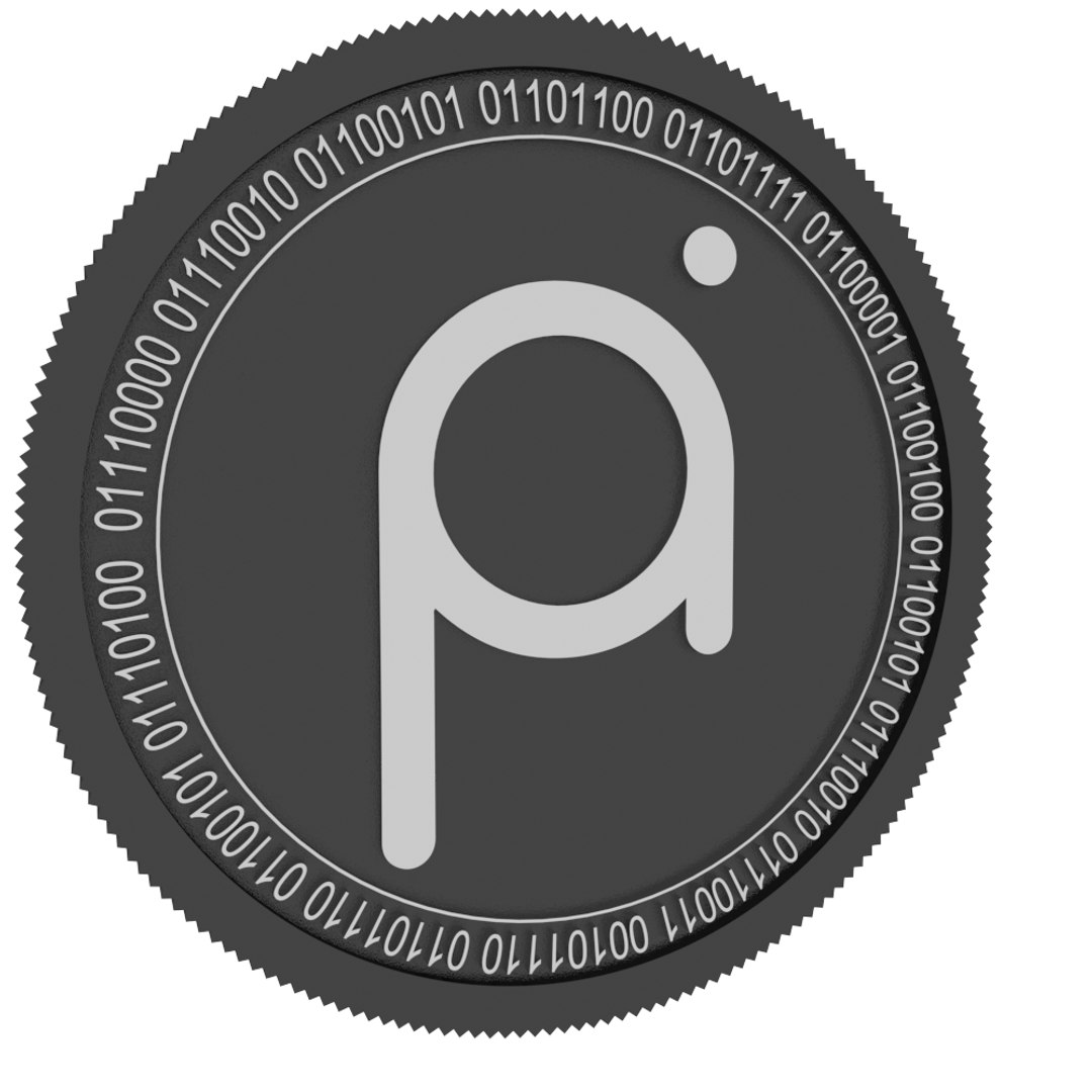 Project pai black coin 3D model - TurboSquid 1434563