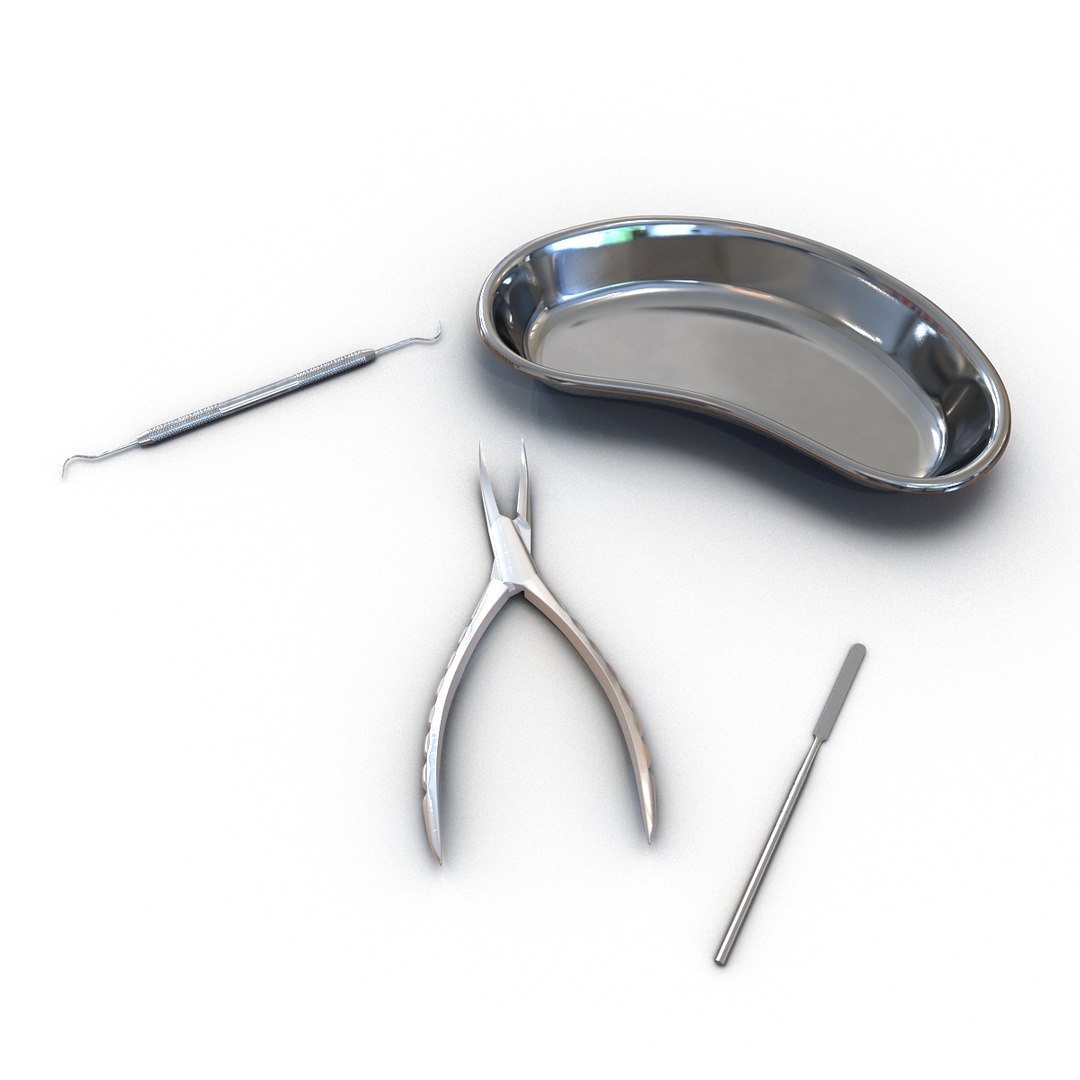 3d model kidney bowl equipment