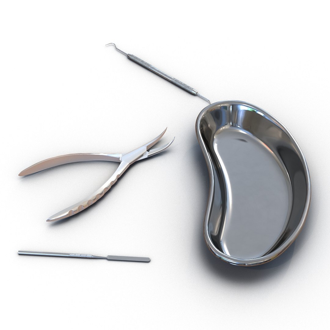 3d model kidney bowl equipment