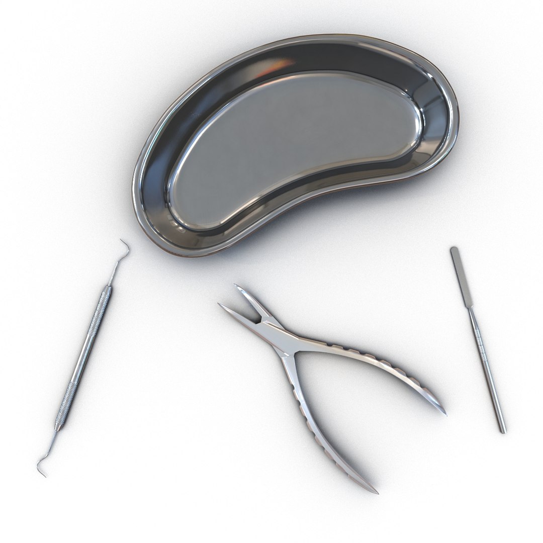 3d model kidney bowl equipment