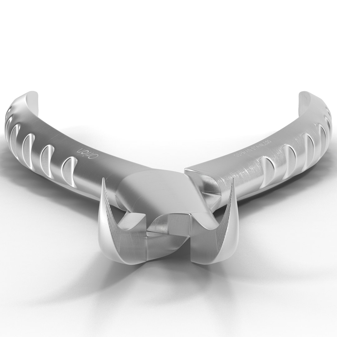 3d model kidney bowl equipment