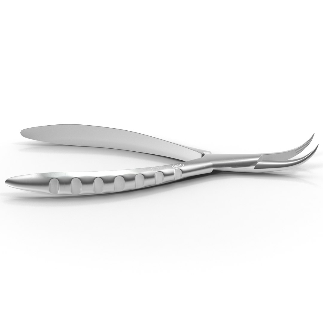 3d model kidney bowl equipment