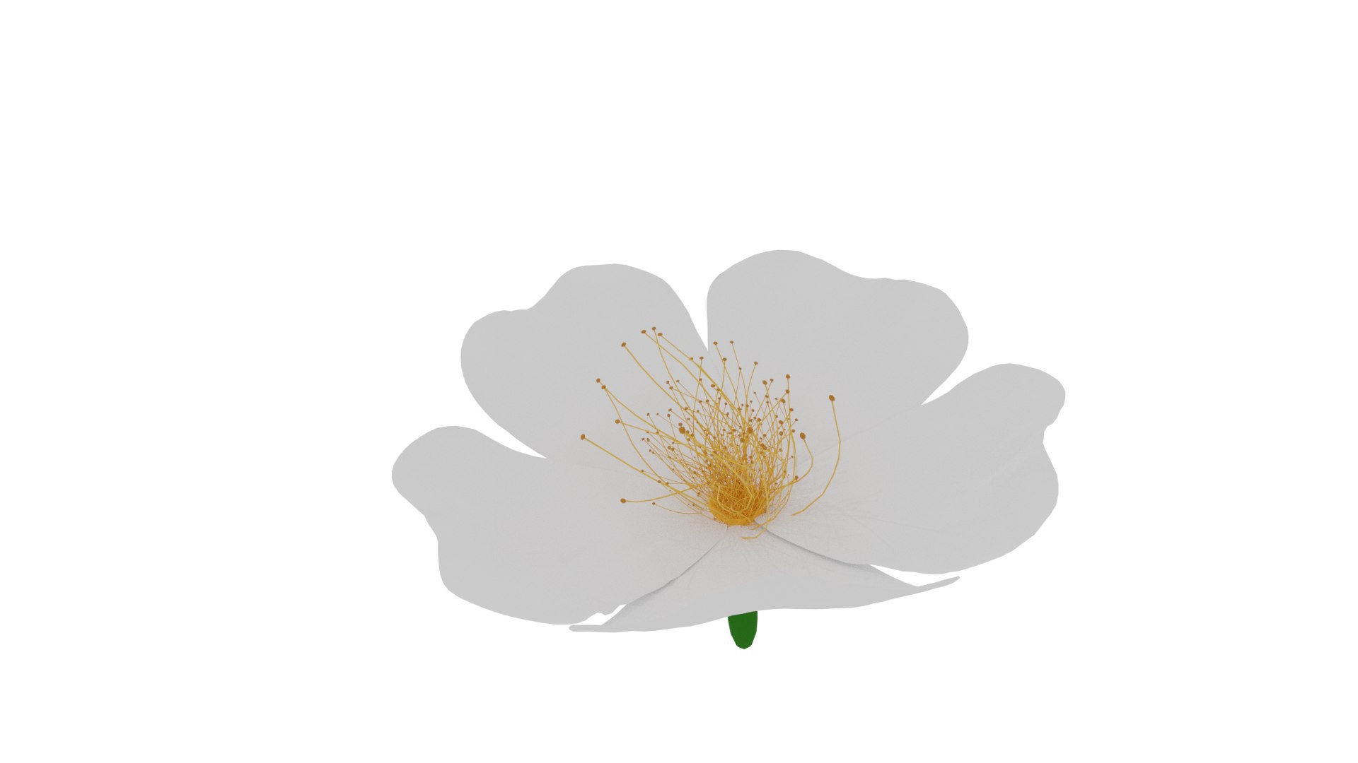 White Flower 3D Model - TurboSquid 1588889