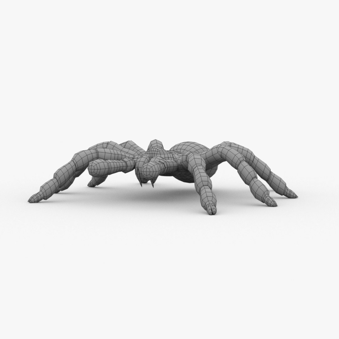 3D tarantula basemesh - TurboSquid 2007173