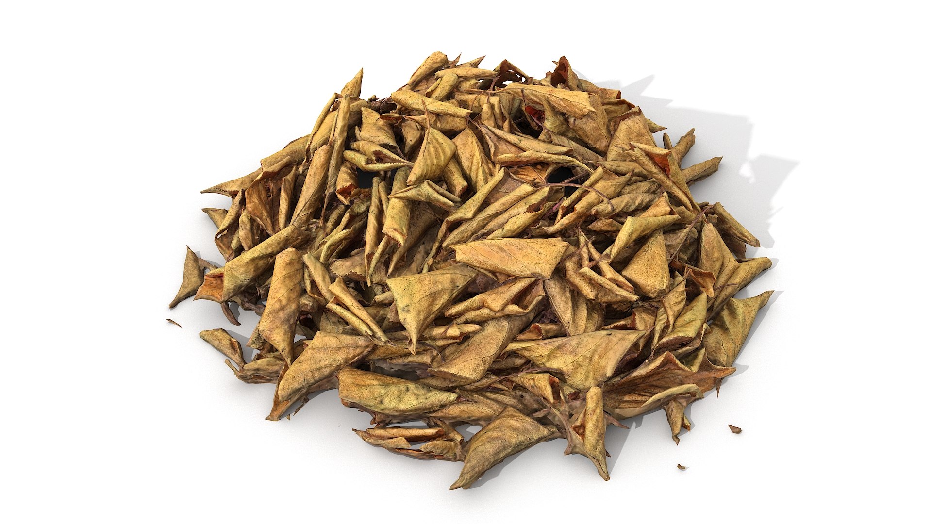 3D model Dry Leaves Pile Scan - TurboSquid 1801597