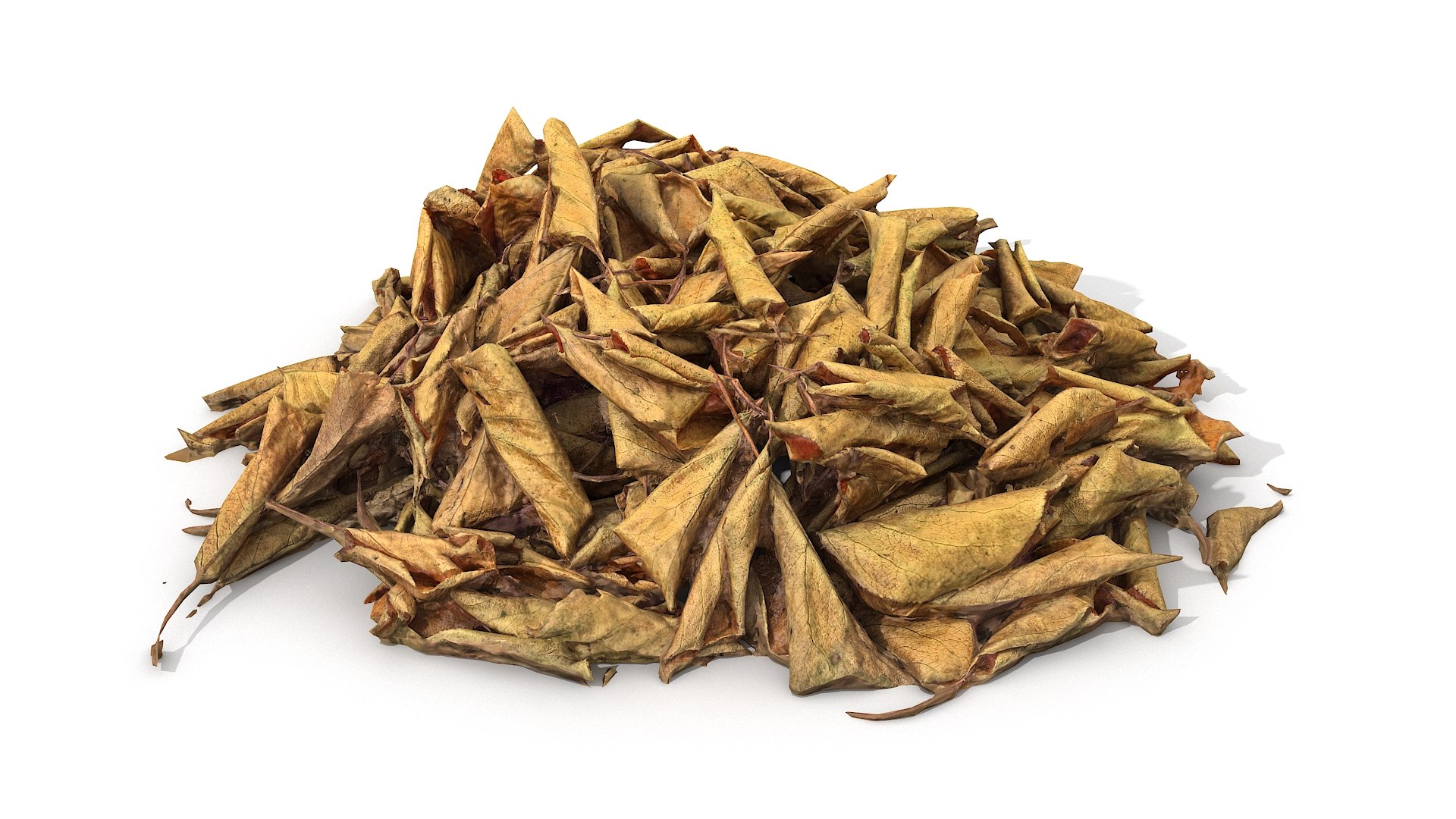 3D model Dry Leaves Pile Scan - TurboSquid 1801597