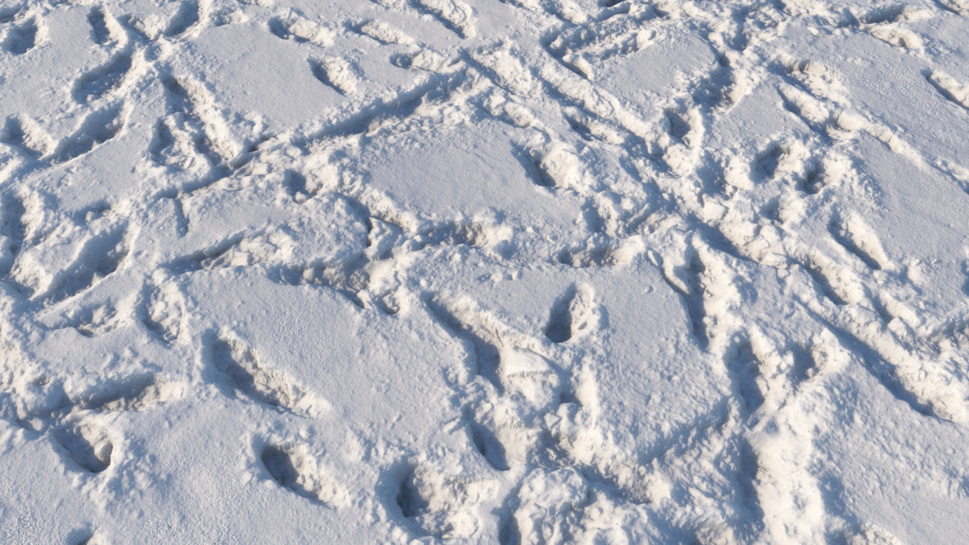 Snow footprints model - TurboSquid 1713947