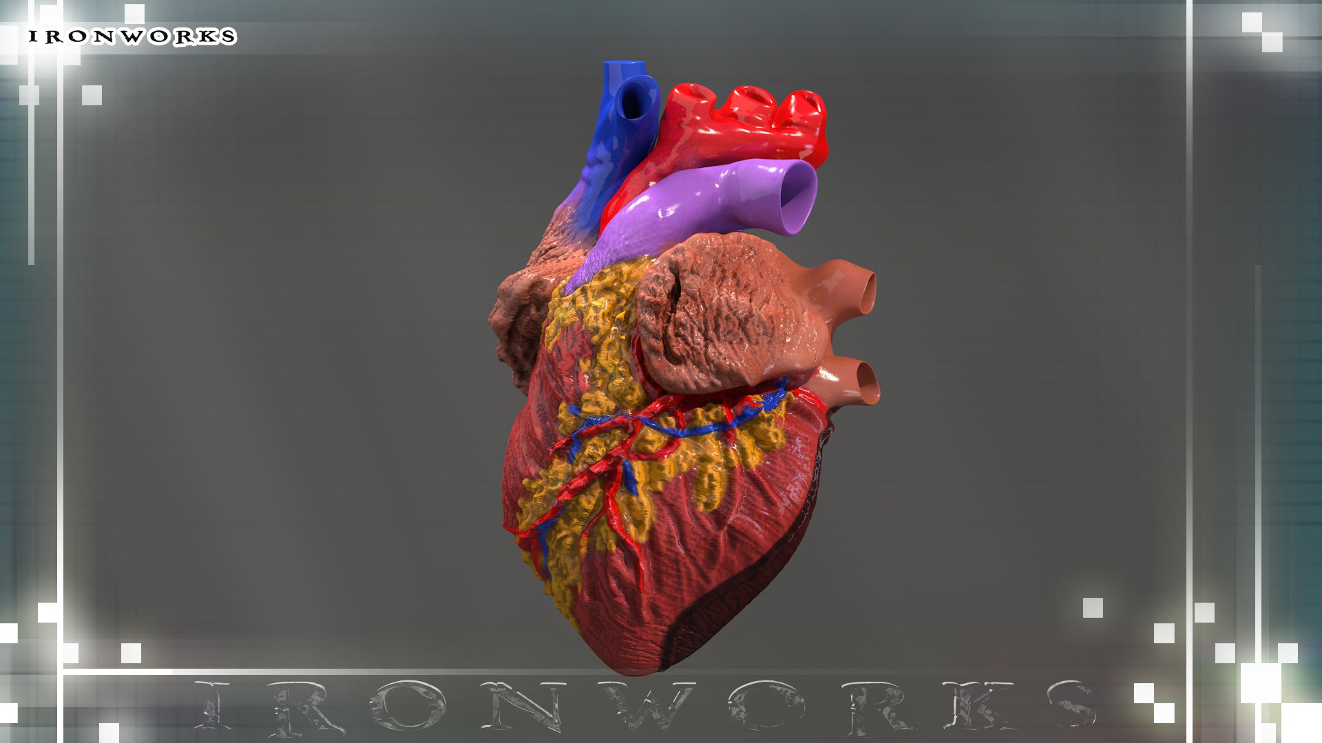 Heart Diagram 3d Model