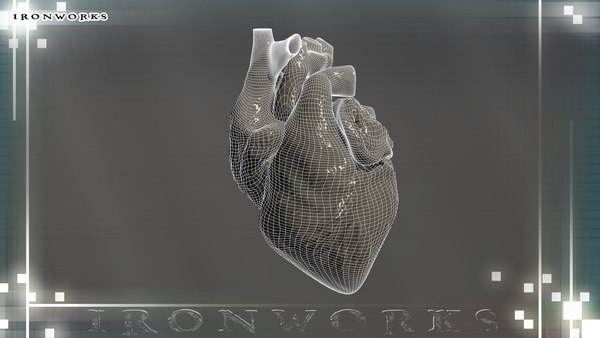 heart diagram 3d model