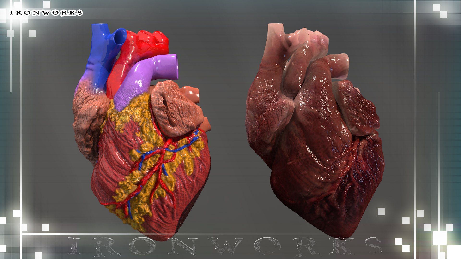 Heart Diagram 3d Model