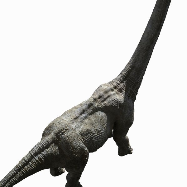 3D brachiosaurus v-ray rigged - TurboSquid 1233093
