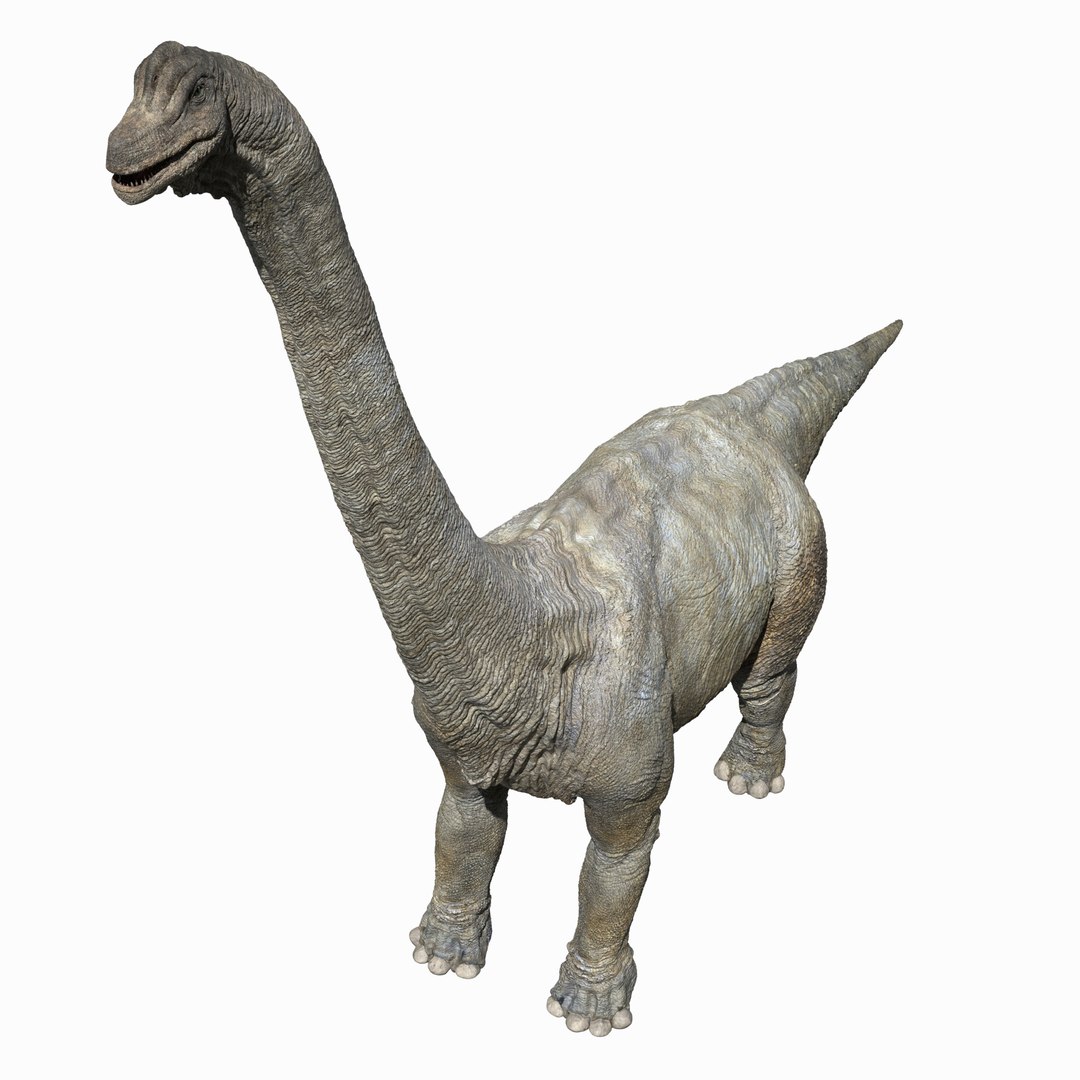 3D Brachiosaurus V-ray Rigged - TurboSquid 1233093