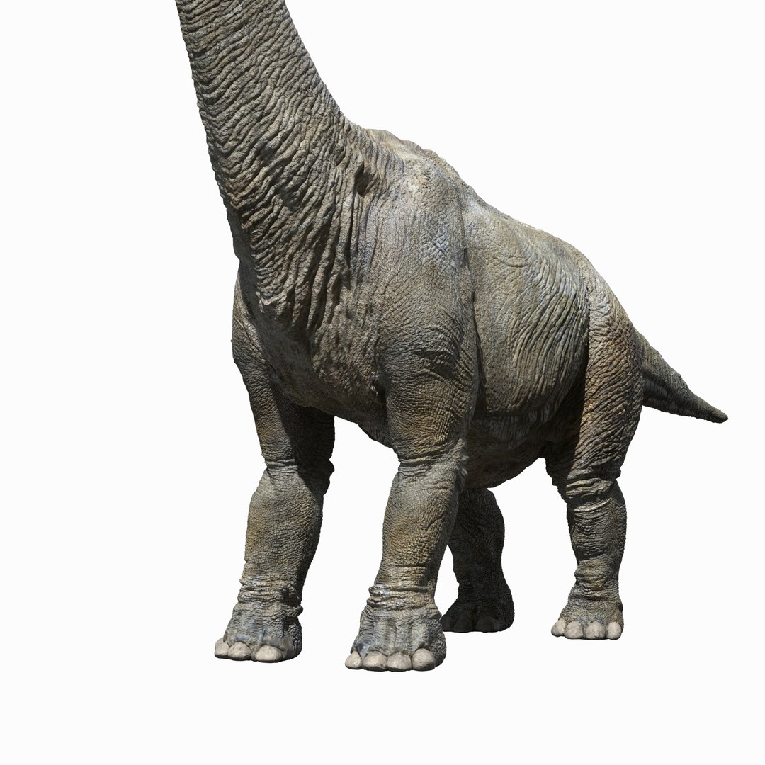 3D Brachiosaurus V-ray Rigged - TurboSquid 1233093