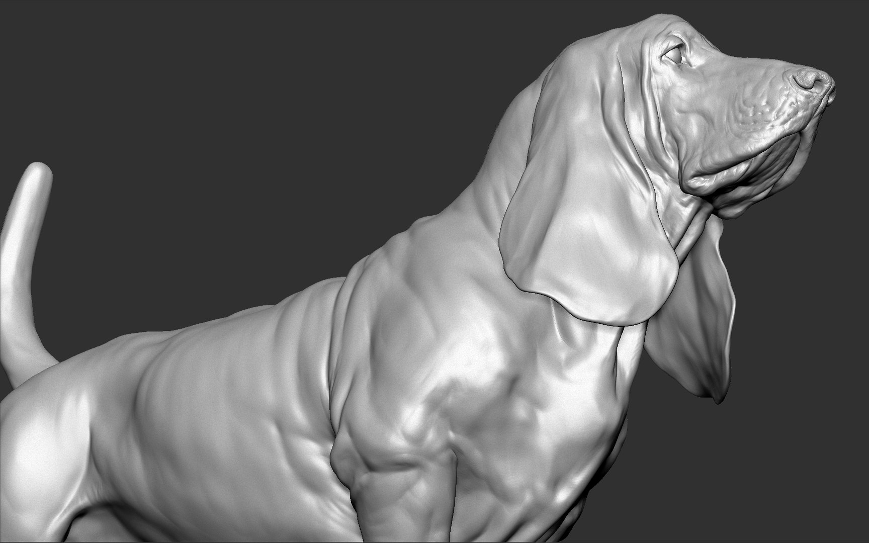 Basset Hound Dog Vfx 3D Model - TurboSquid 1464515