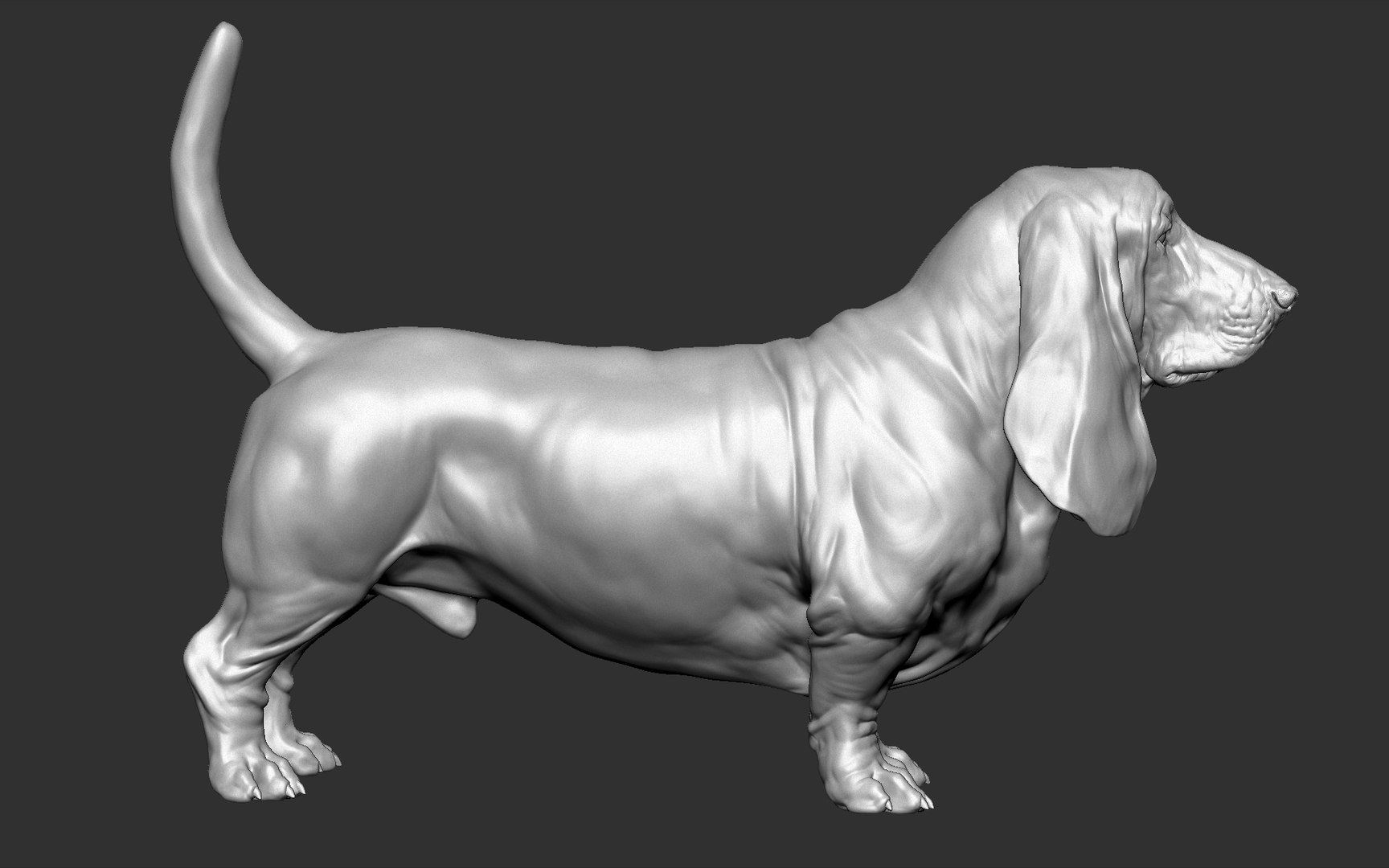 Basset Hound Dog Vfx 3D Model - TurboSquid 1464515