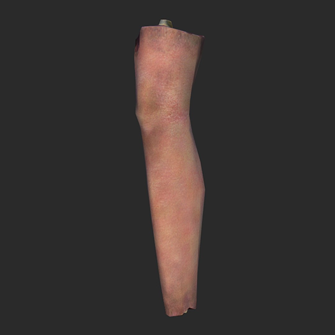 3d Mutilated Human Leg