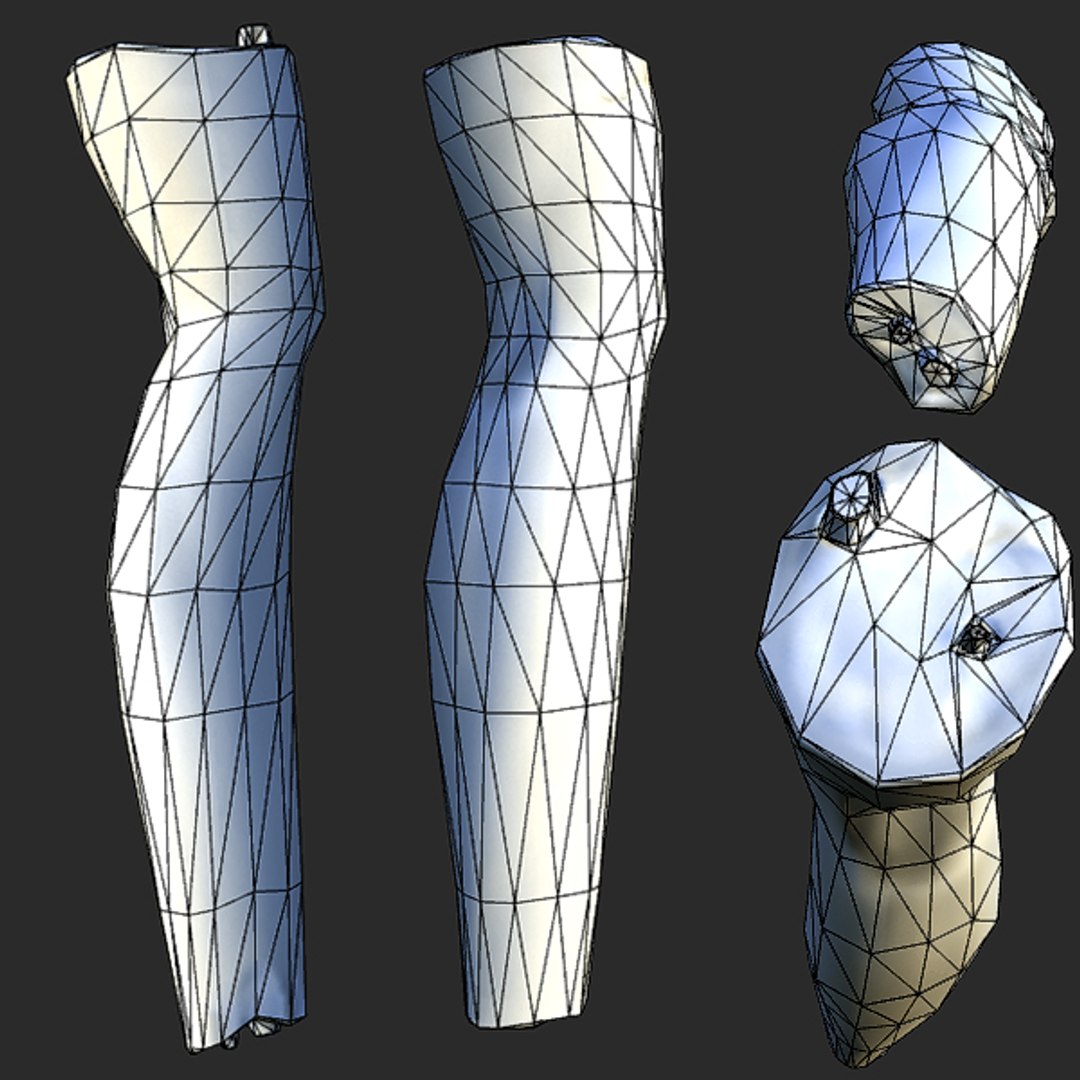 3d Mutilated Human Leg