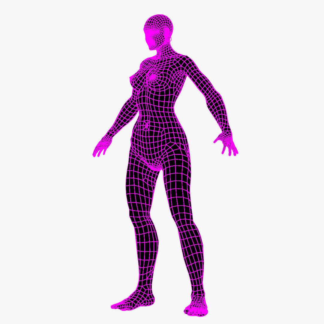 3d Female Body