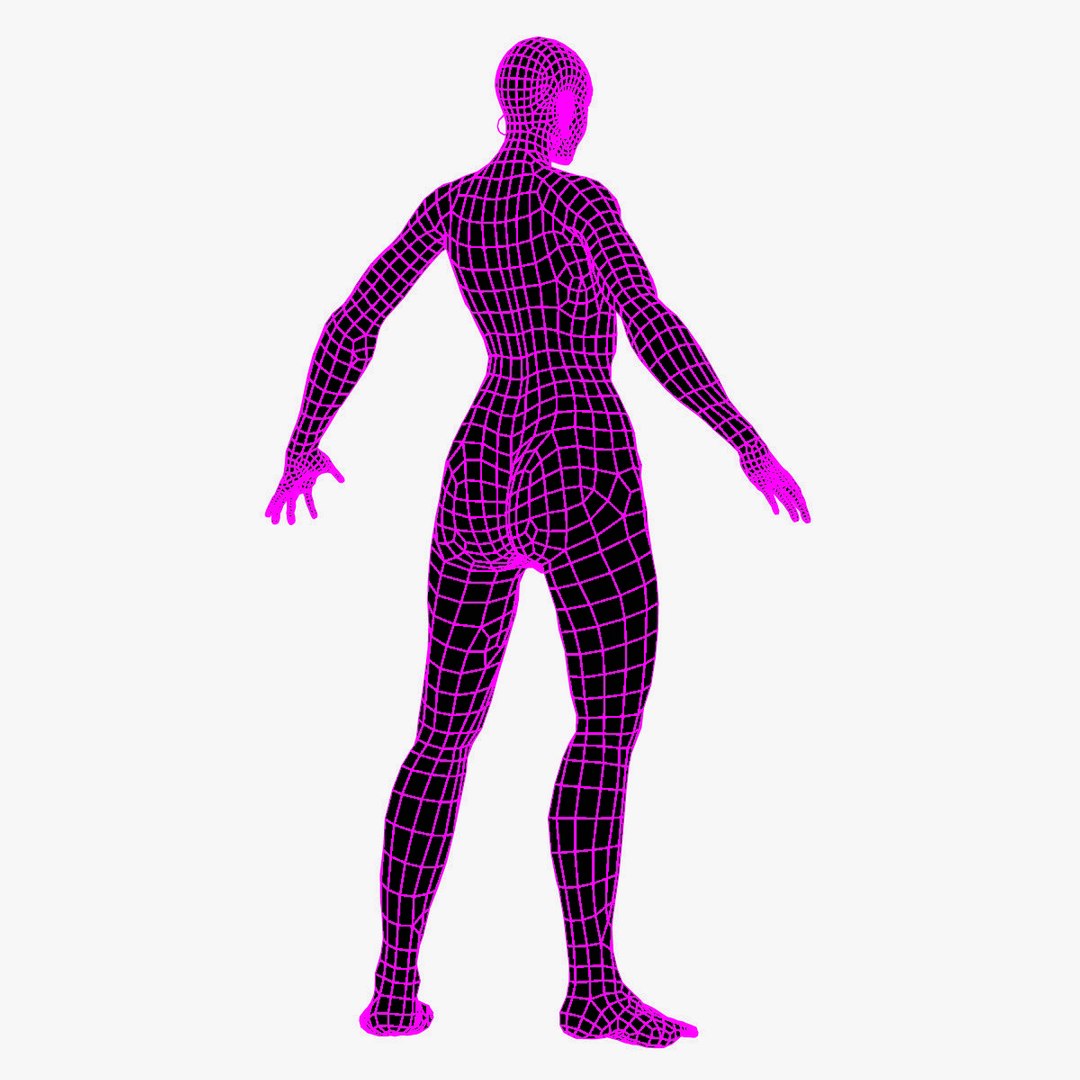 3d Female Body