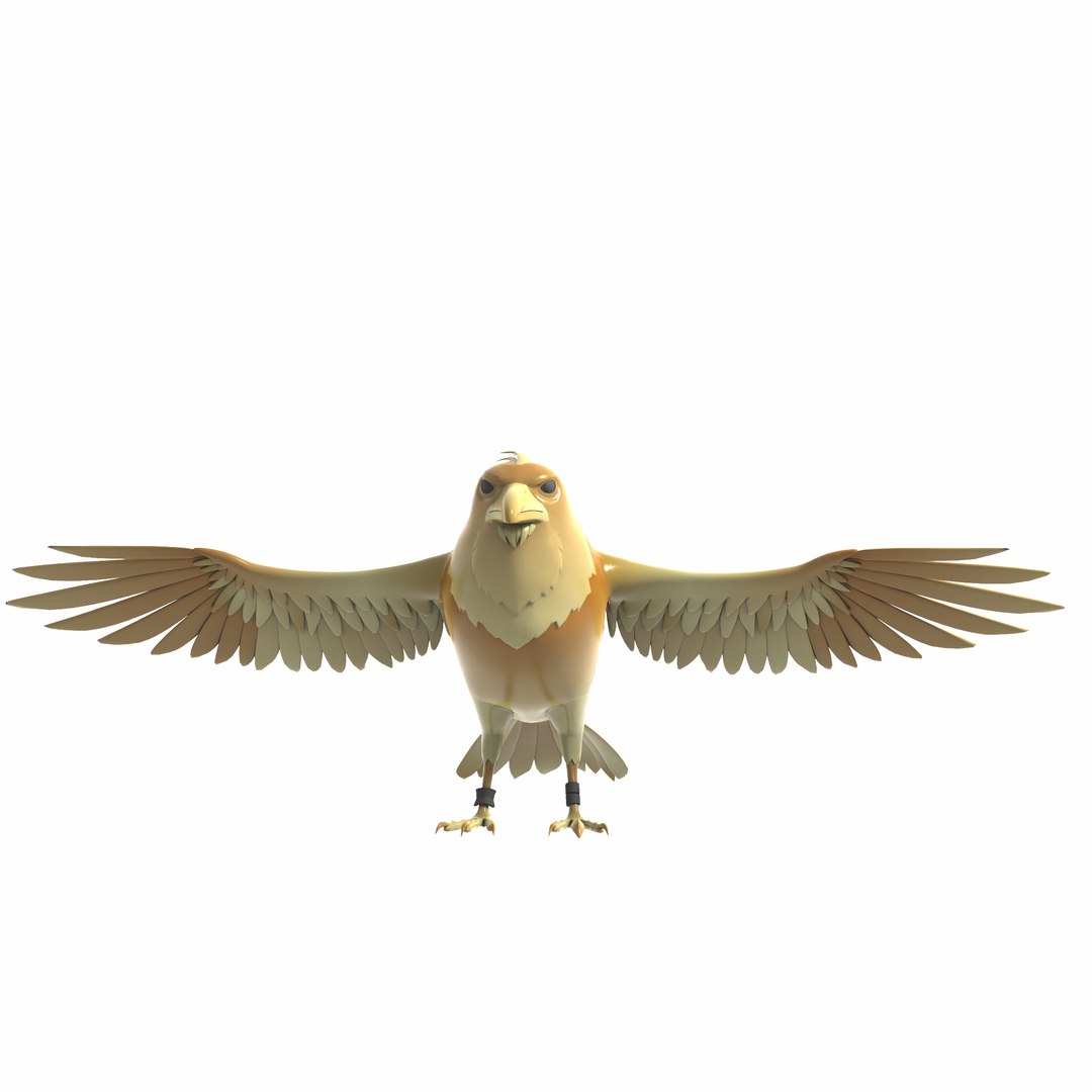 3D Cartoon Bird - TurboSquid 1248471