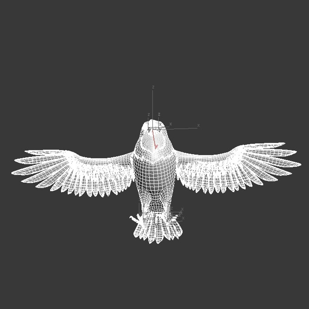 3D Cartoon Bird - TurboSquid 1248471