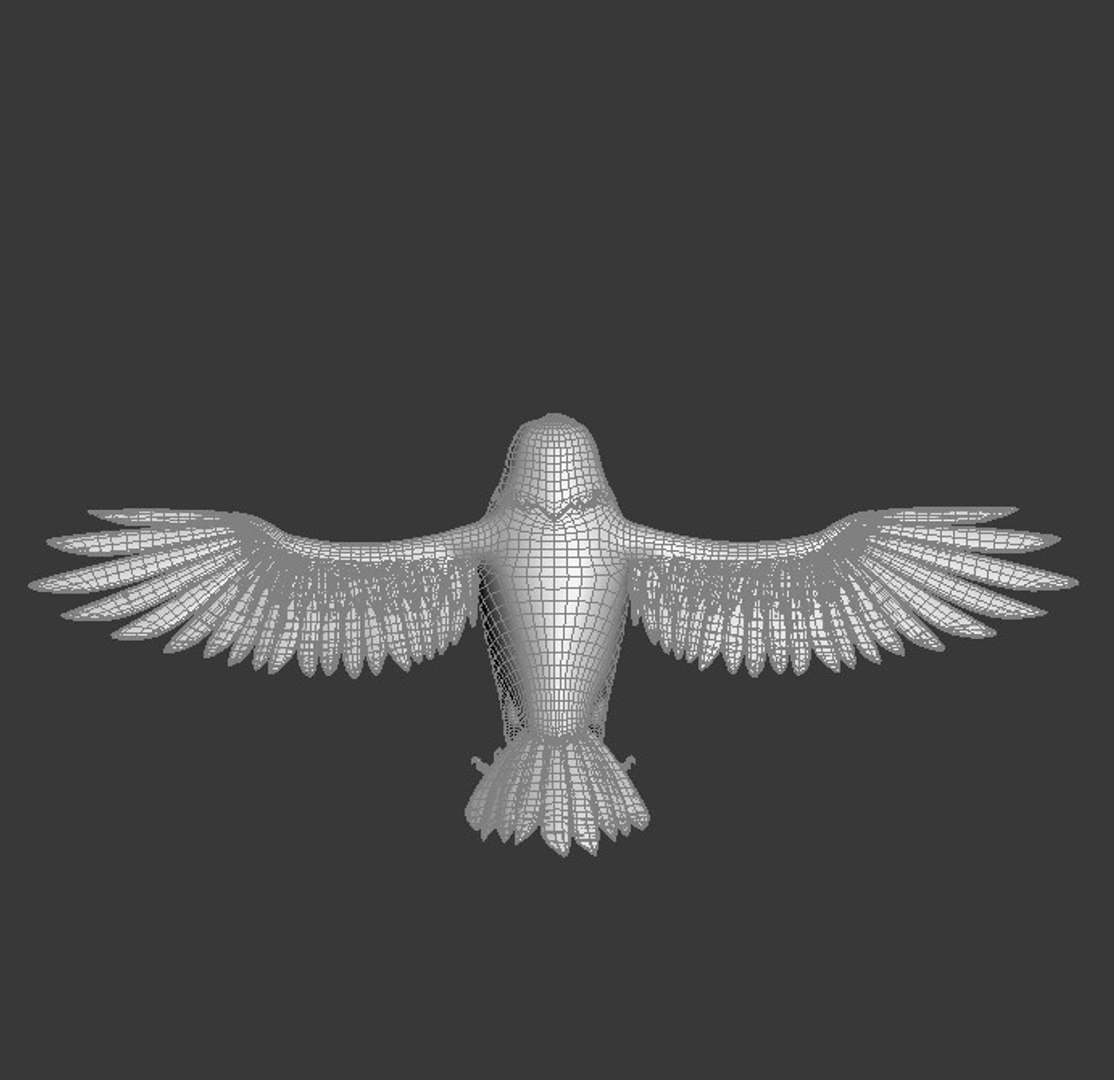 3D Cartoon Bird - TurboSquid 1248471