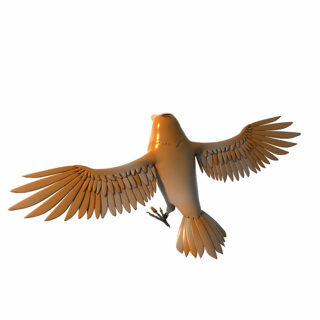 3D Cartoon Bird - TurboSquid 1248471